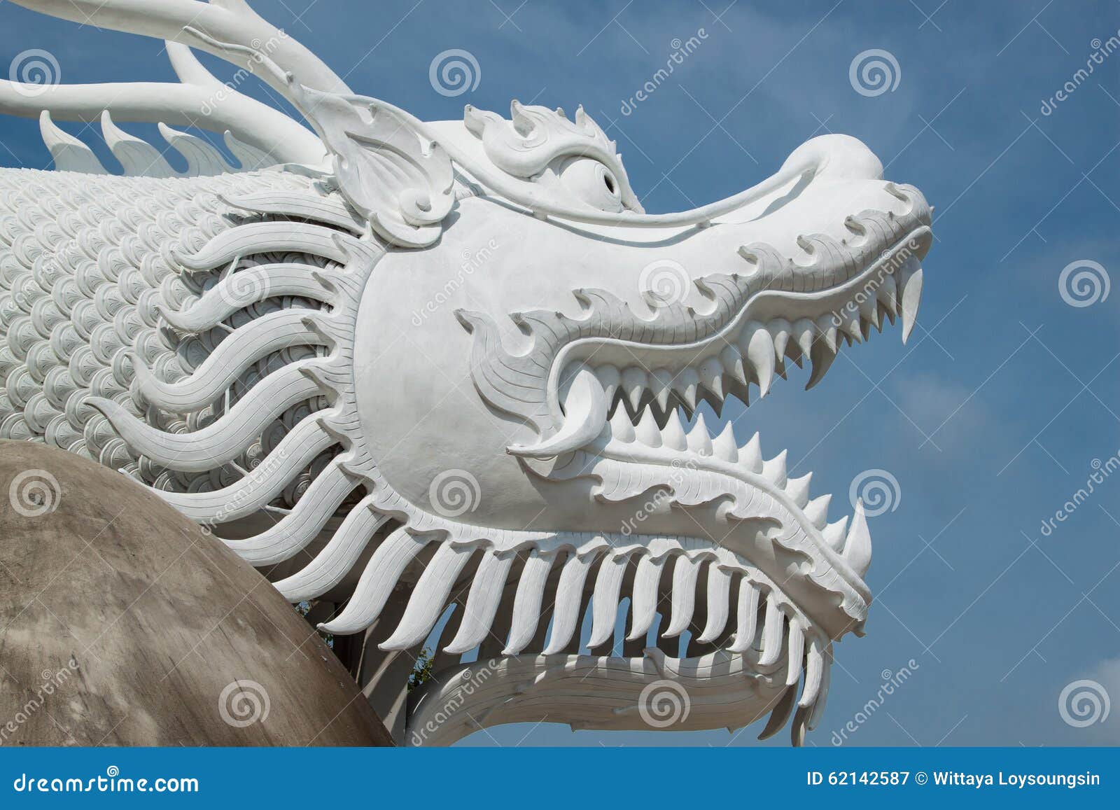 Head dragon stock image. Image of heads, head, dragon - 62142587