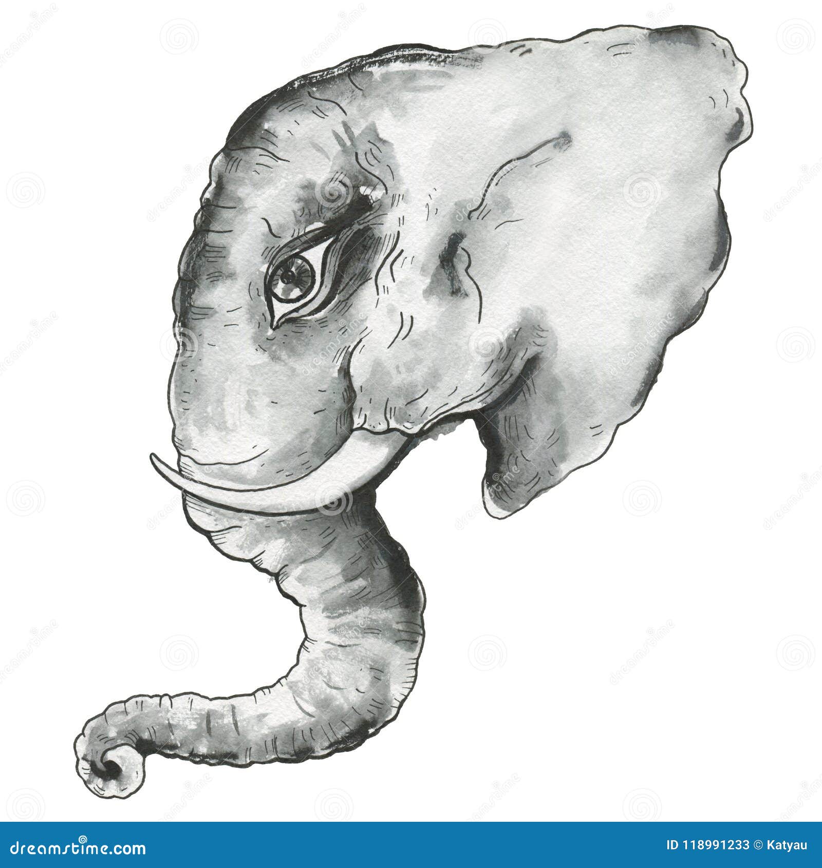 Head of elephant stock illustration. Illustration of profile - 118991233