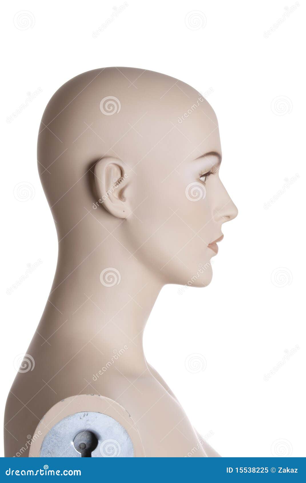 Head of the Female Mannequin | Studio Isolated Stock Image - Image of ...