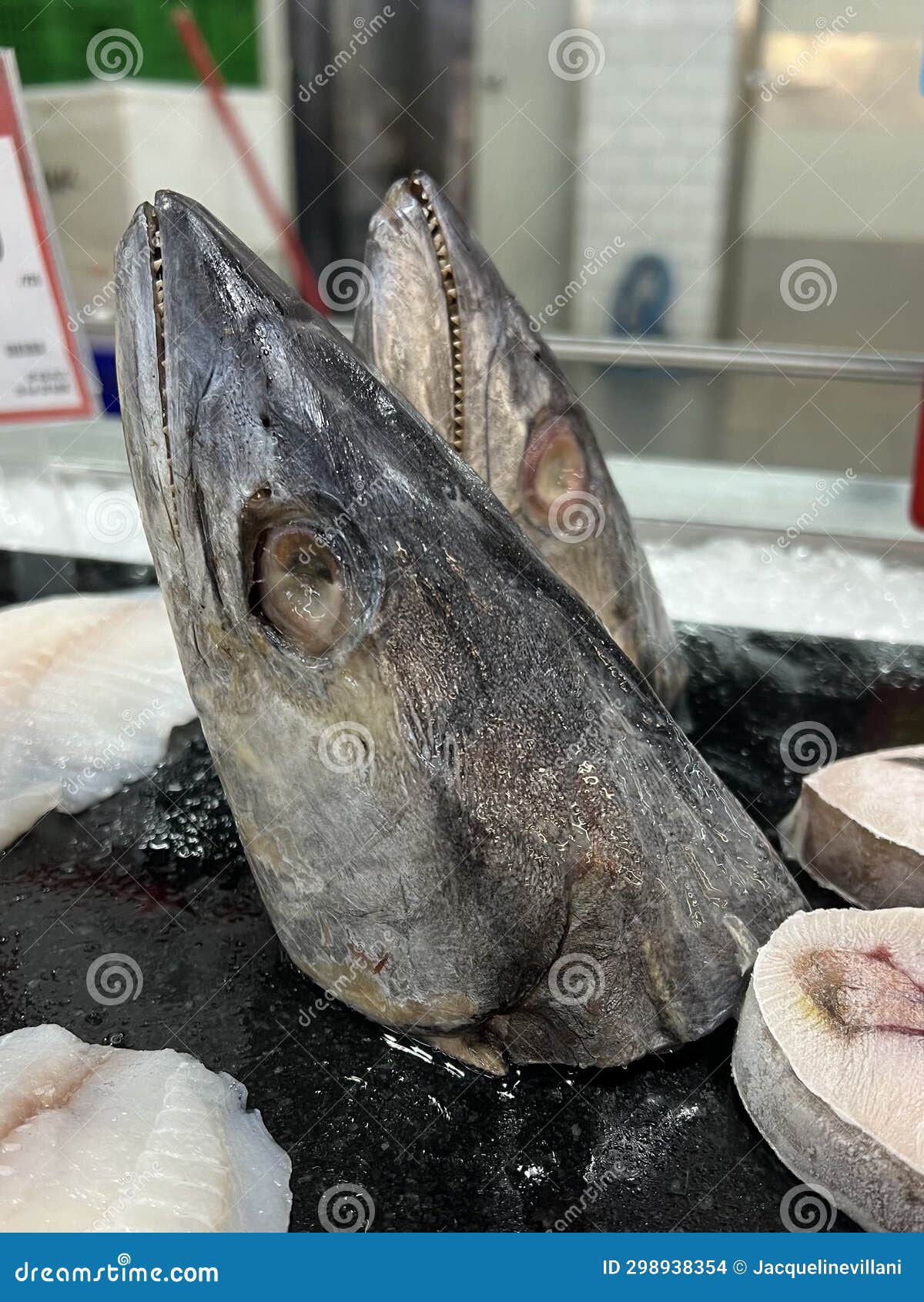 The head of a fish stock photo. Image of head, body - 298938354