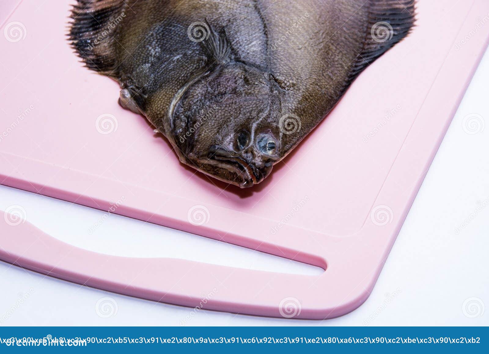 The Head of a Flounder Fish on a Cutting Board. Stock Photo - Image of ...