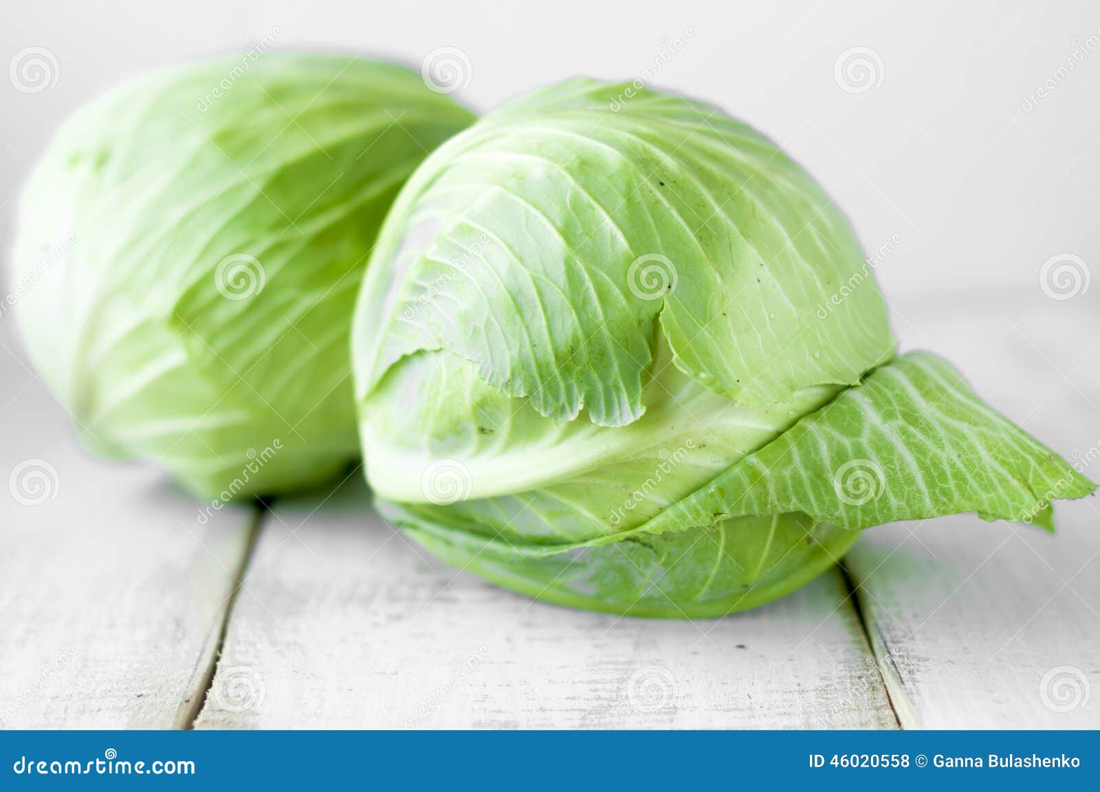 Head of fresh cabbage. stock photo. Image of healthy - 46020558