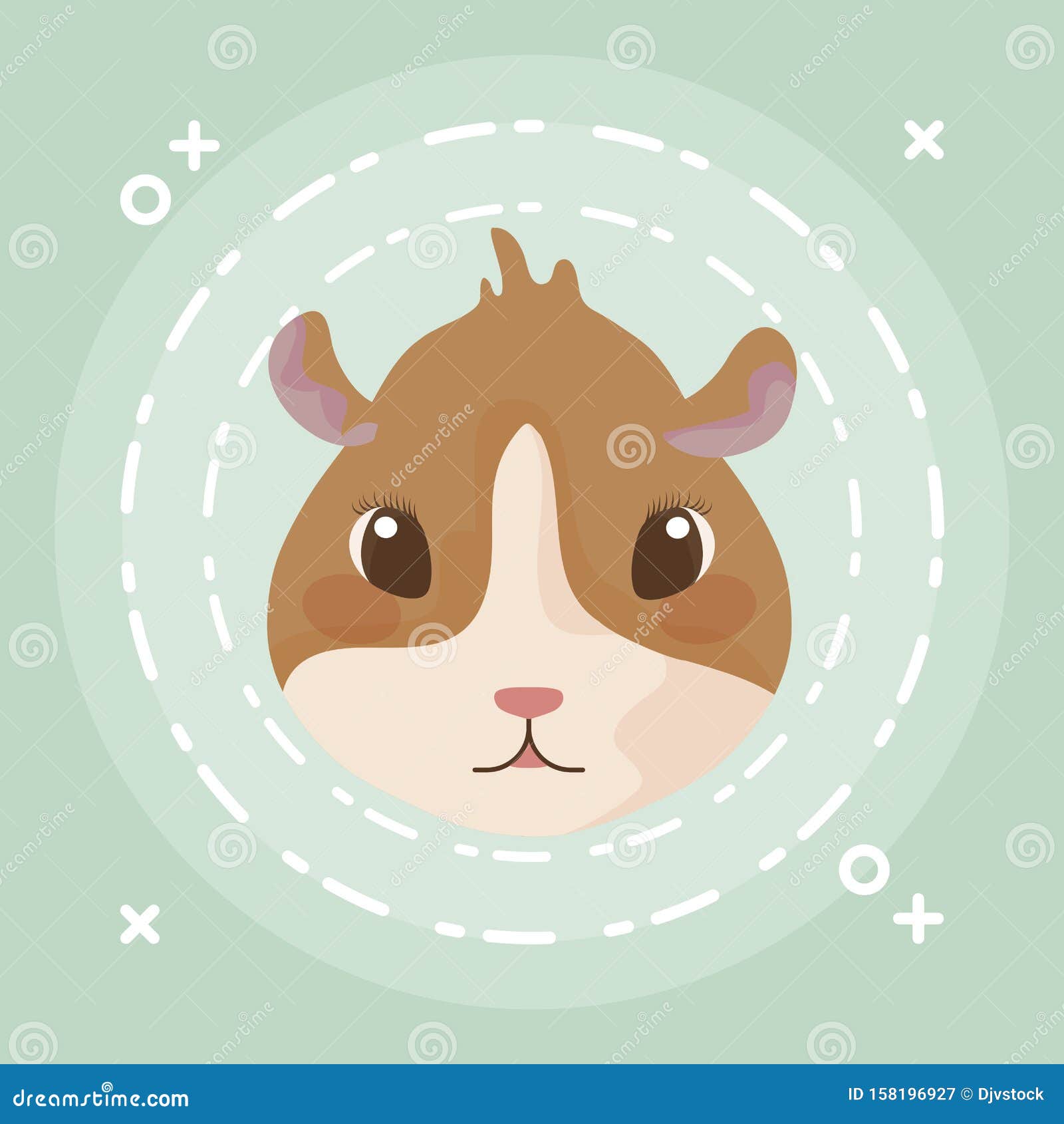 Head of Guinea Pig Baby Animal Stock Illustration - Illustration of ...