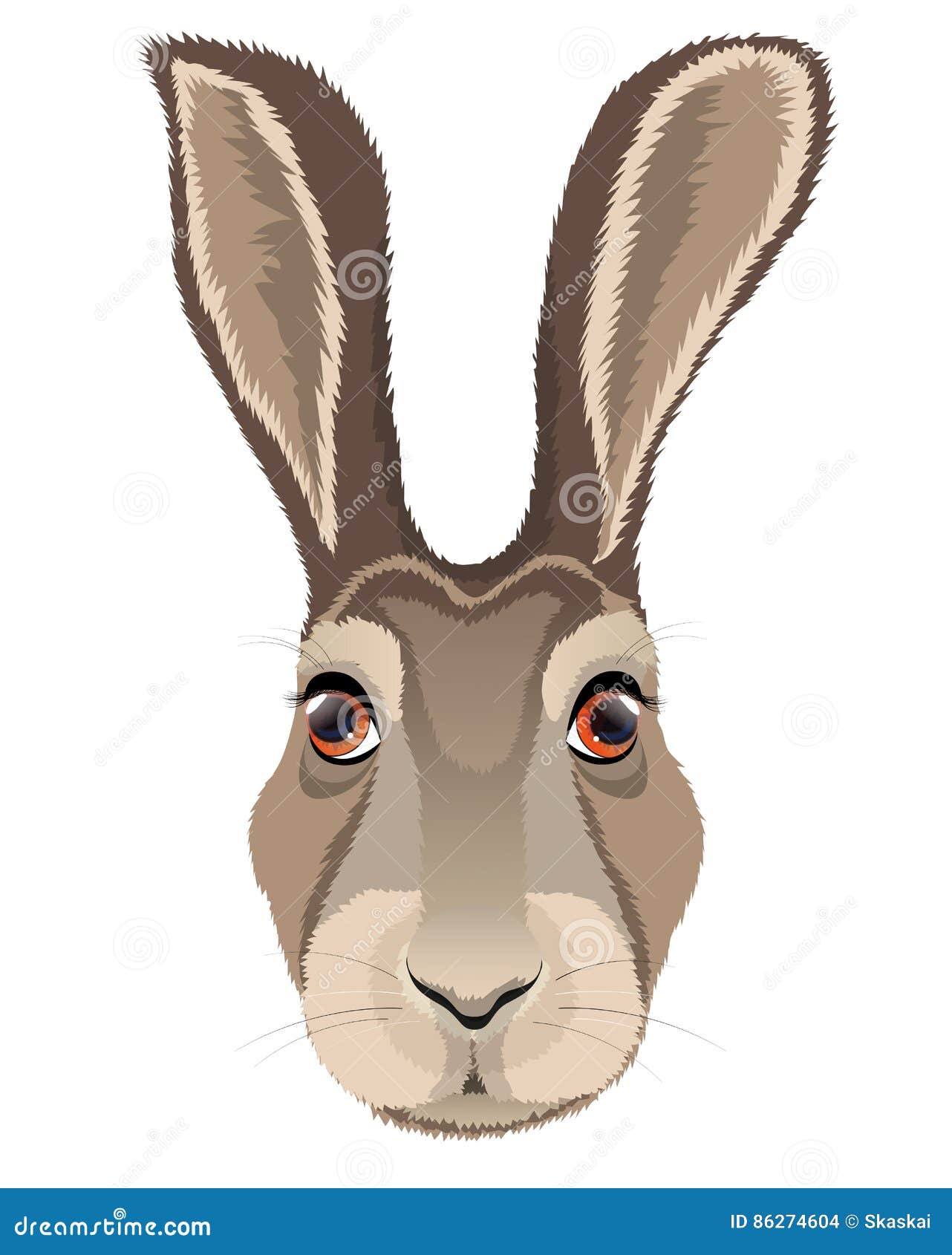 The head of a hare. stock vector. Illustration of nature - 86274604