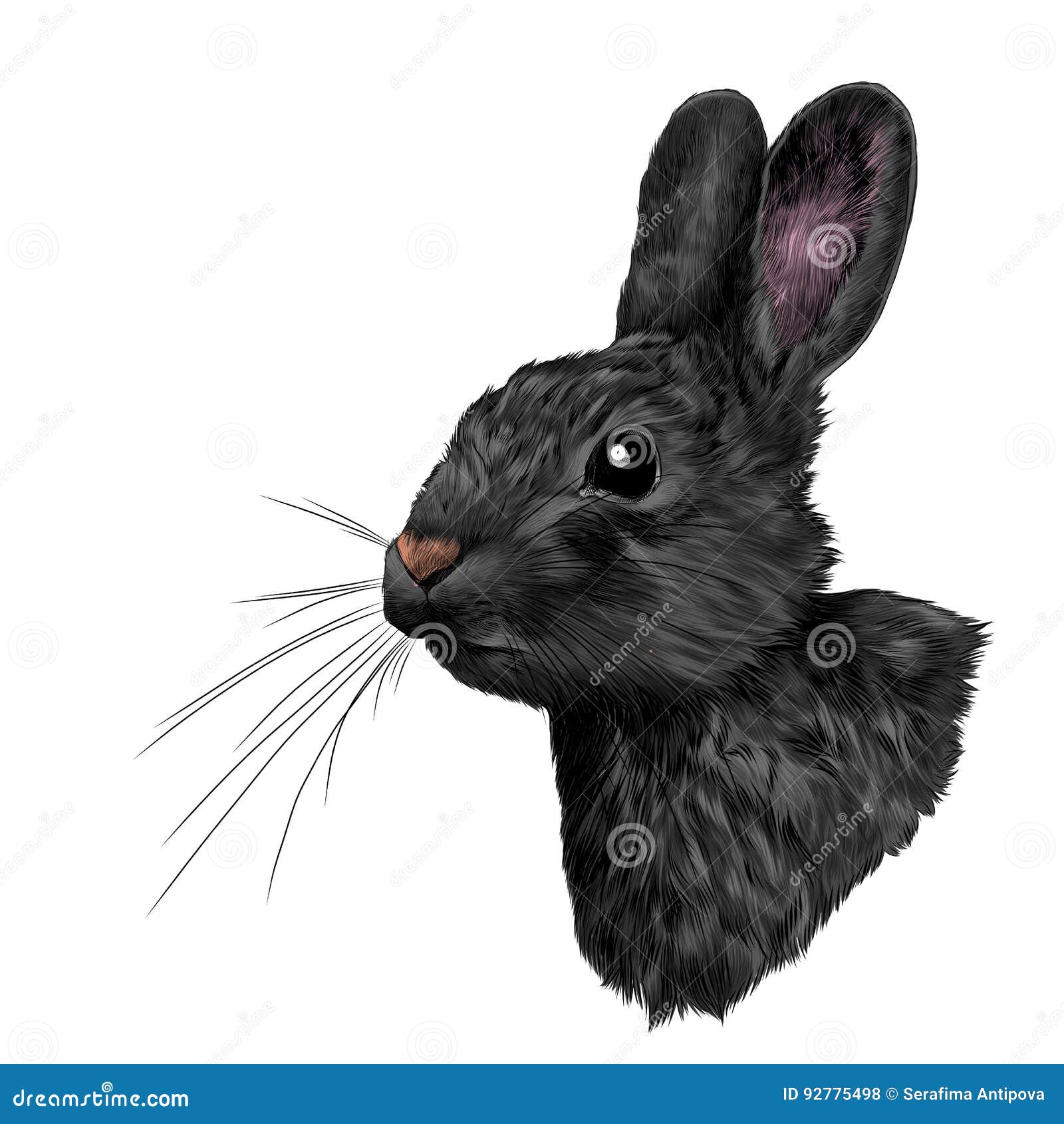 Head Hare In Profile, Sketch Vector Graphics | CartoonDealer.com #92775468