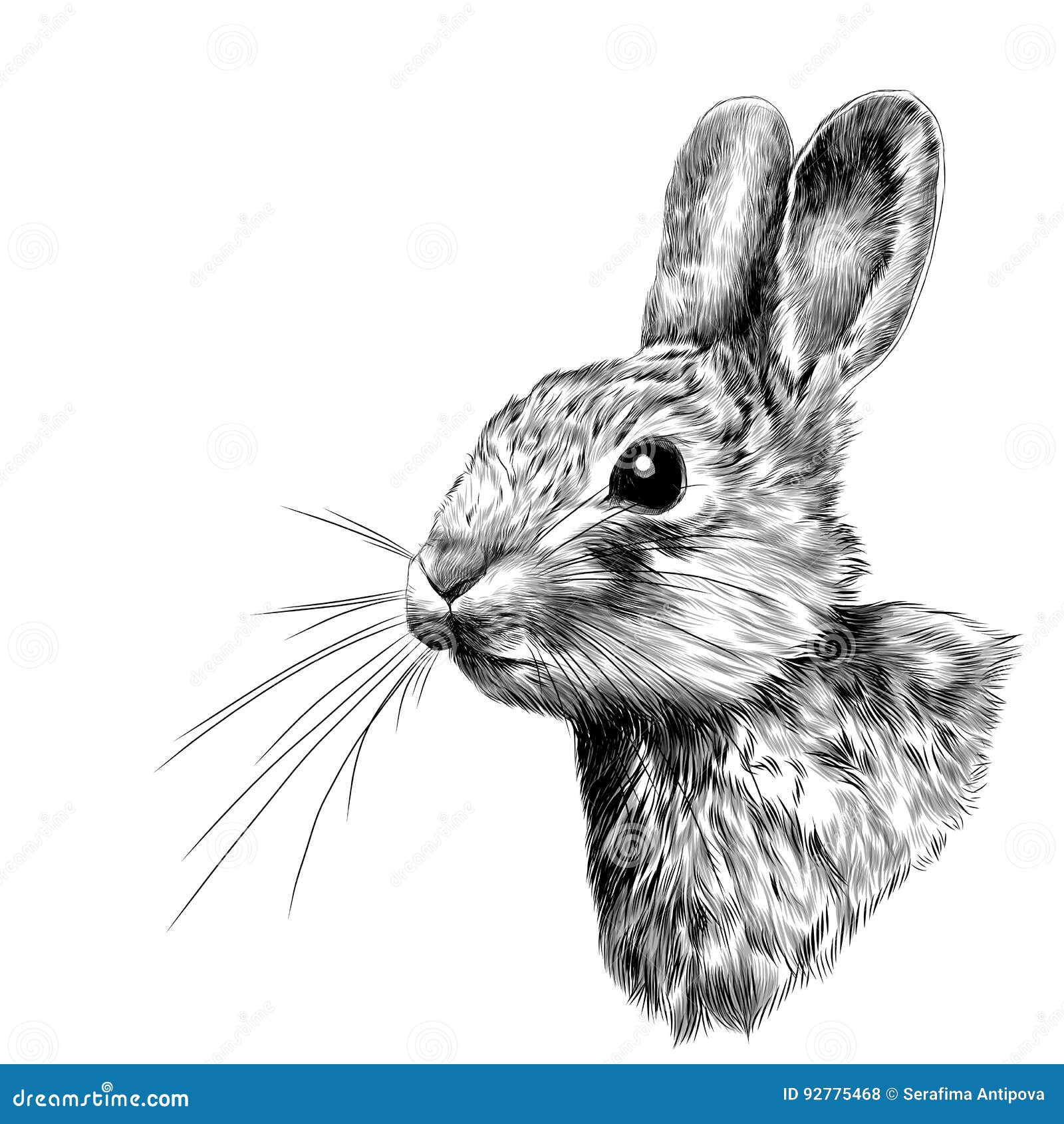 Head Hare in Profile, Sketch Vector Graphics Stock Vector ...