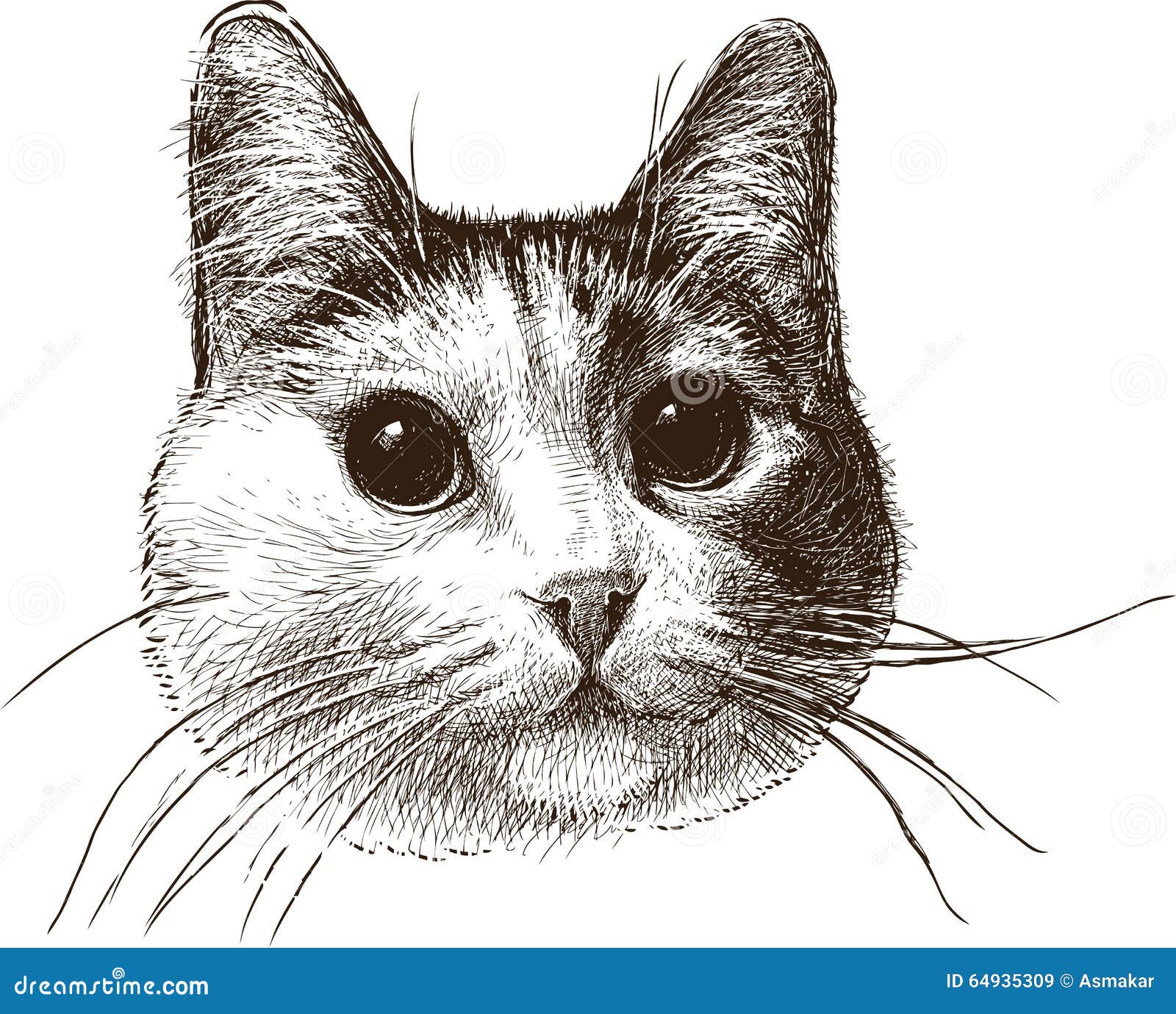 Head of the house cat stock vector. Illustration of portrait - 64935309