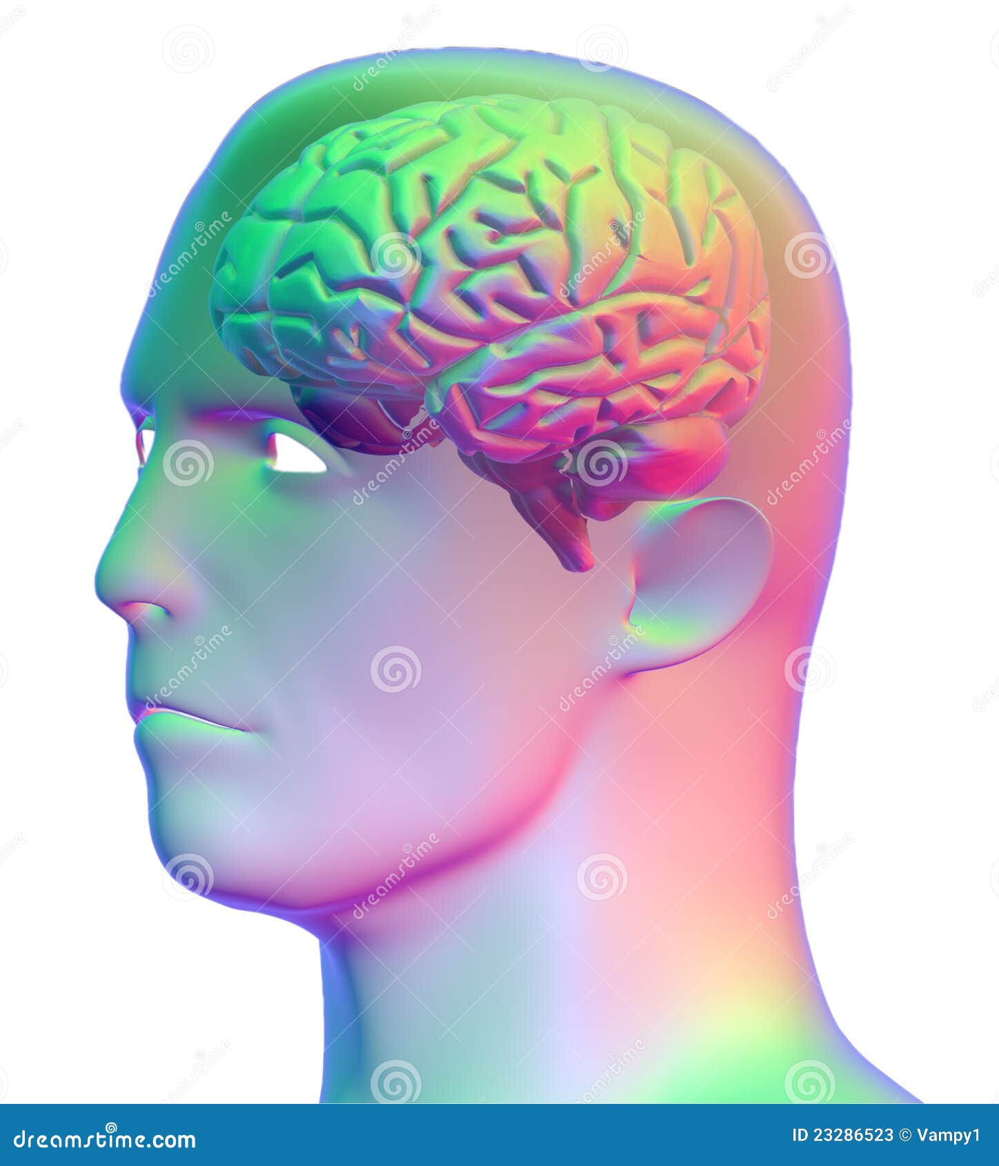 Head and the Human Brain stock illustration. Illustration of mass ...