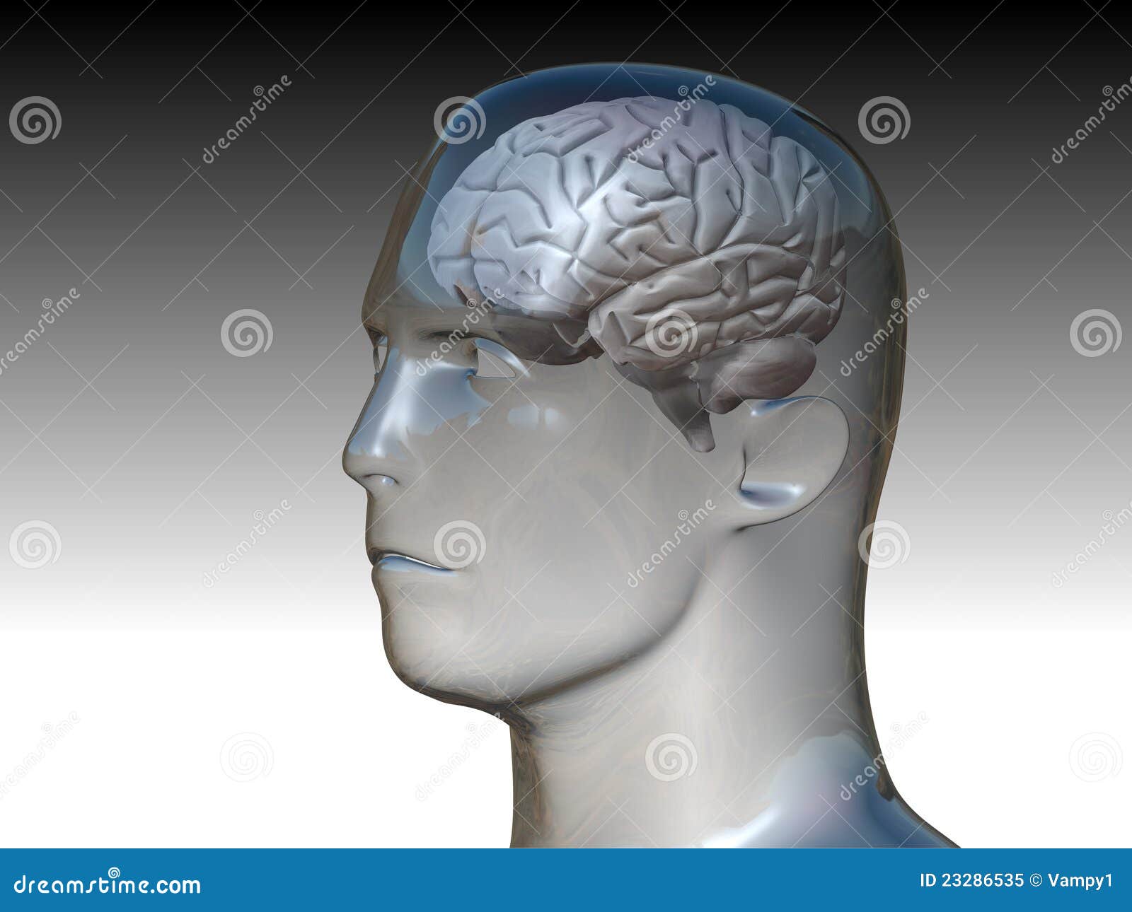 Head and the Human Brain stock illustration. Illustration of ...