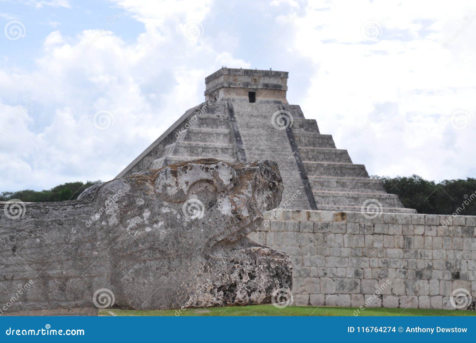 Head Jaguar Pyramid Mayan Ruins Stock Photo - Image of university ...