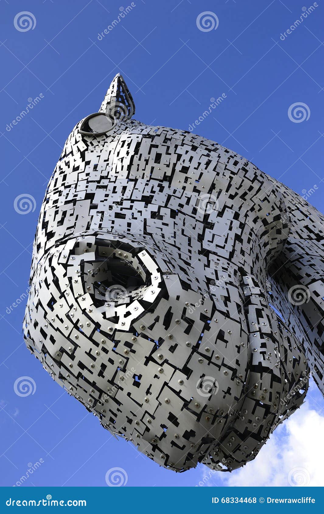 The head of the Kelpie editorial stock photo. Image of clyde - 68334468