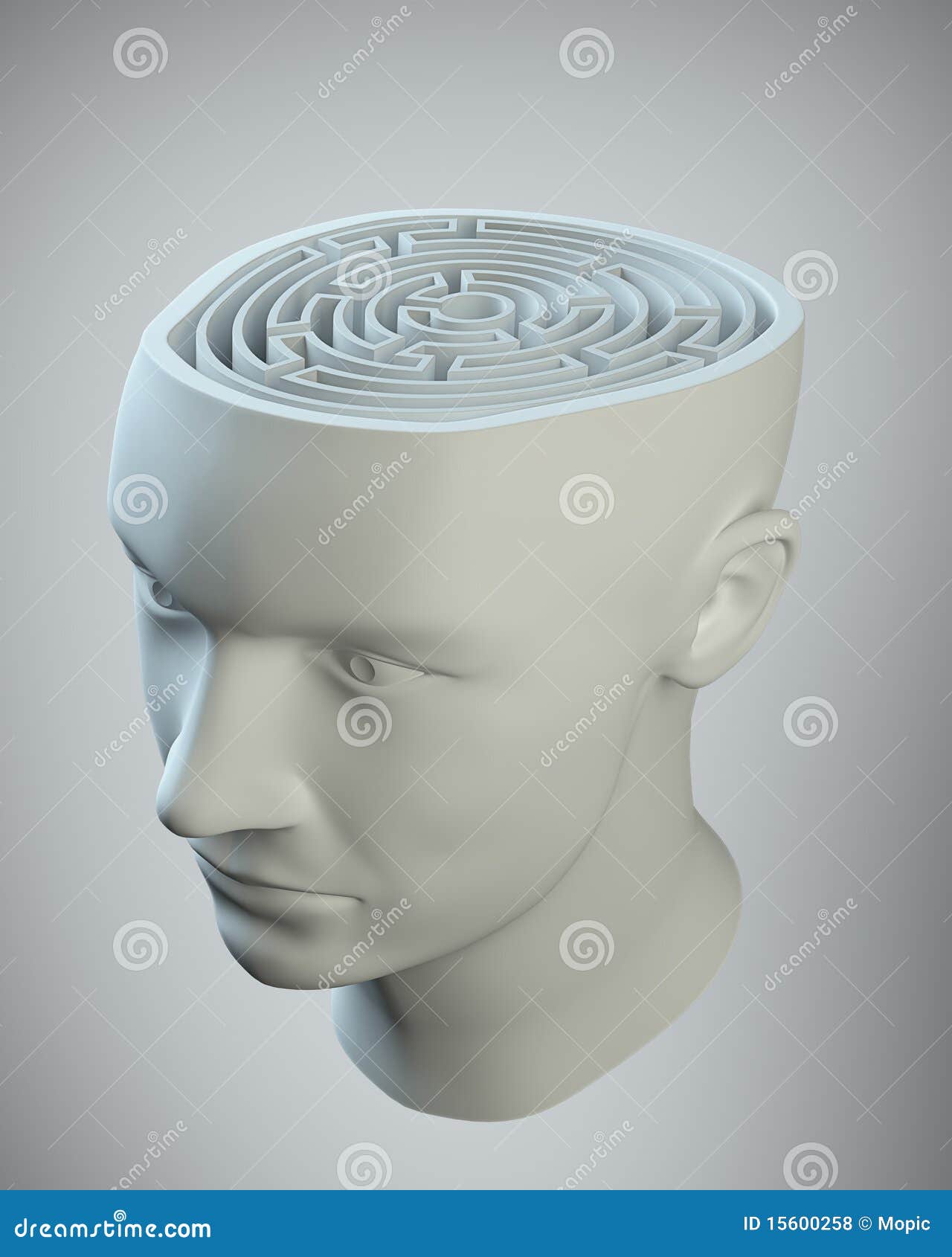 Head with a Labyrinth Inside Stock Illustration - Illustration of ...