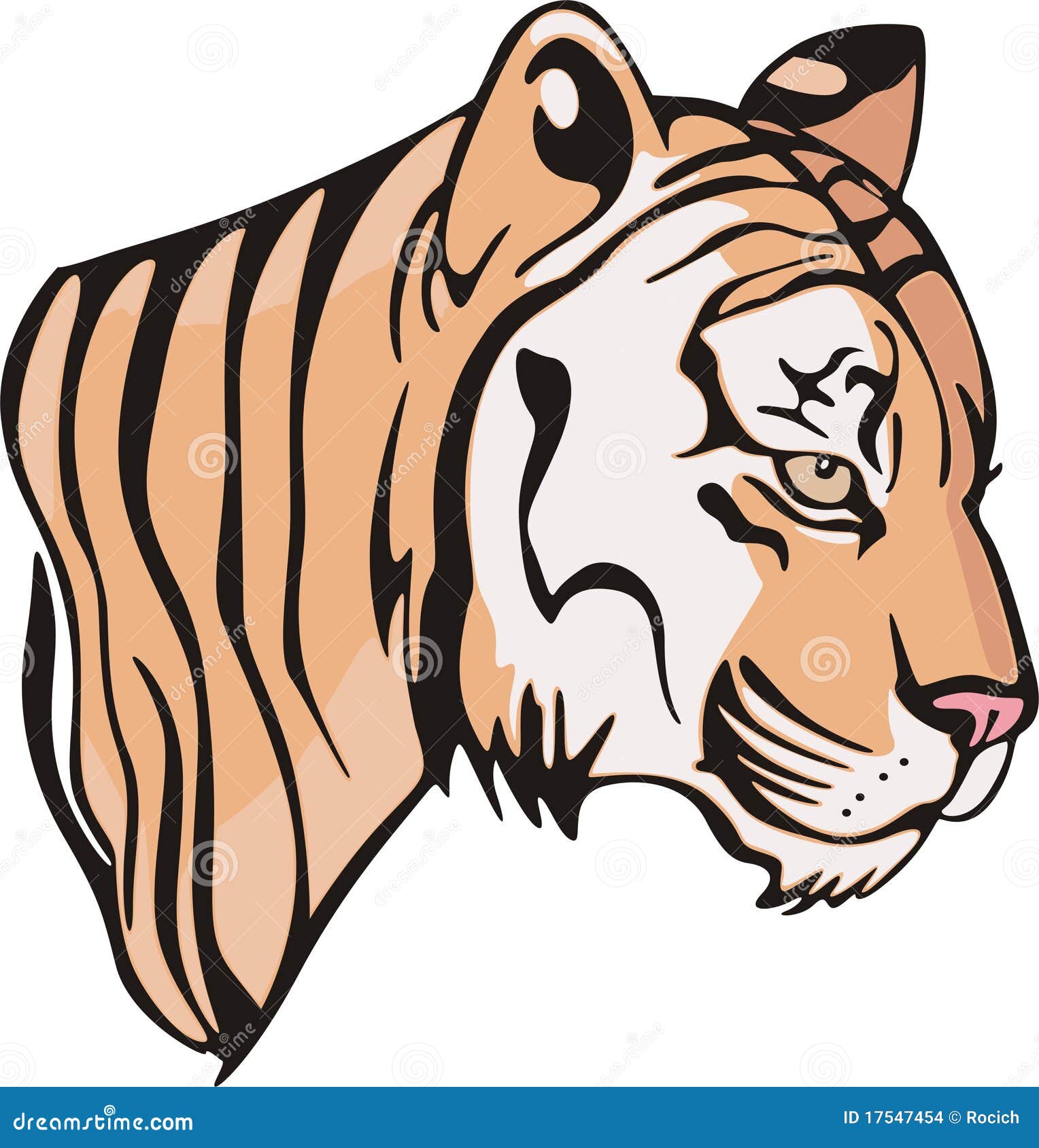Head of a little tiger cub stock vector. Illustration of heads - 17547454