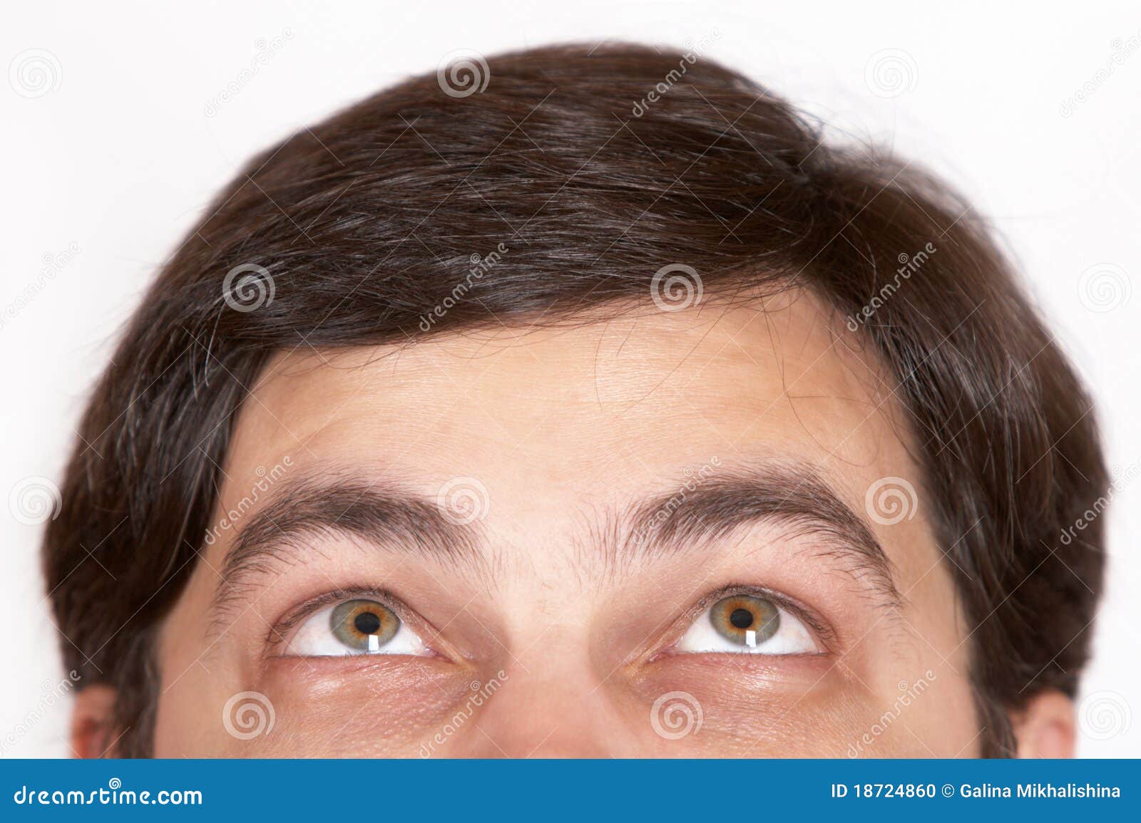 Head of man stock photo. Image of handsome, portrait - 18724860