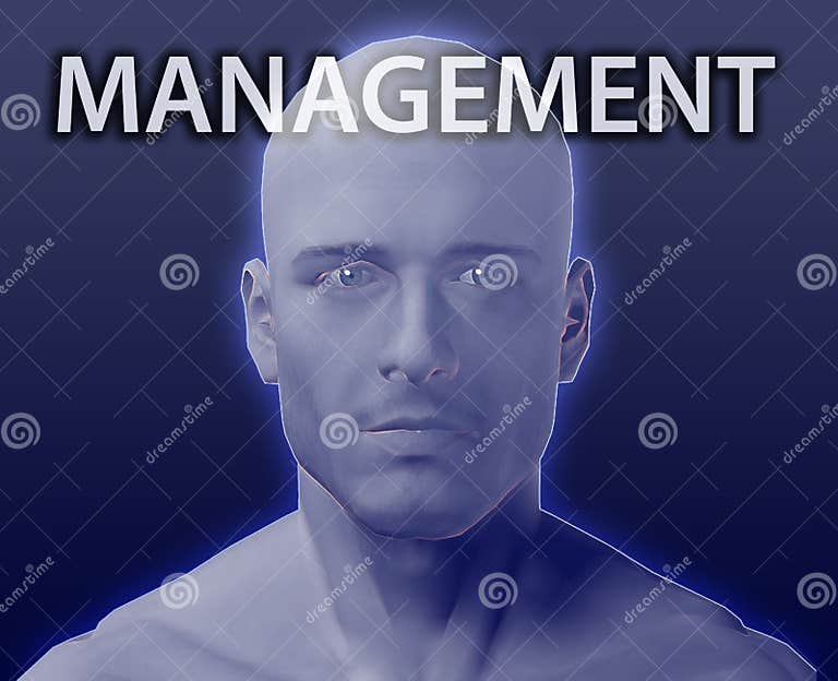 Head for management stock illustration. Illustration of decisions - 7767415