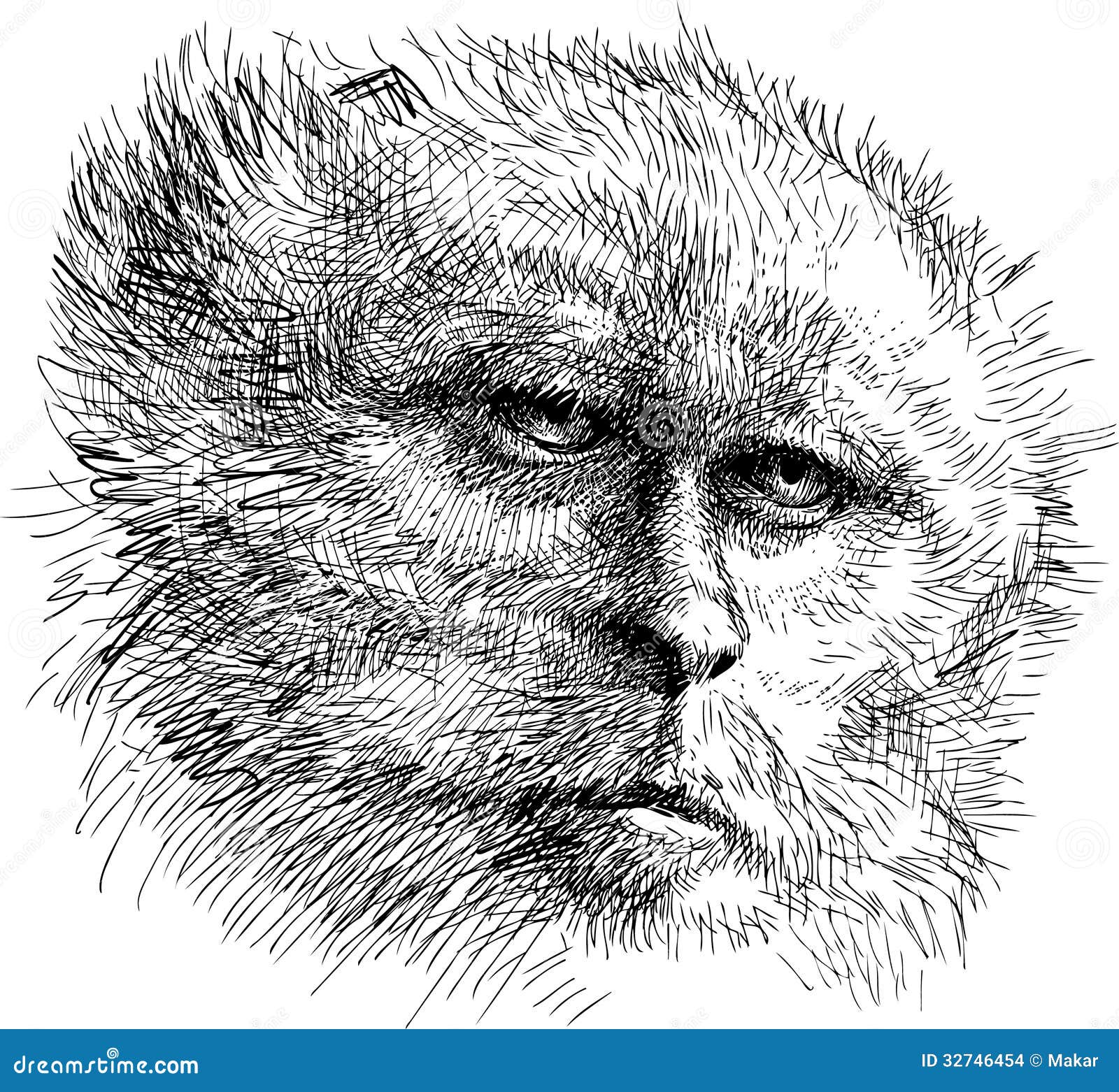 Head of monkey stock vector. Illustration of primate - 32746454