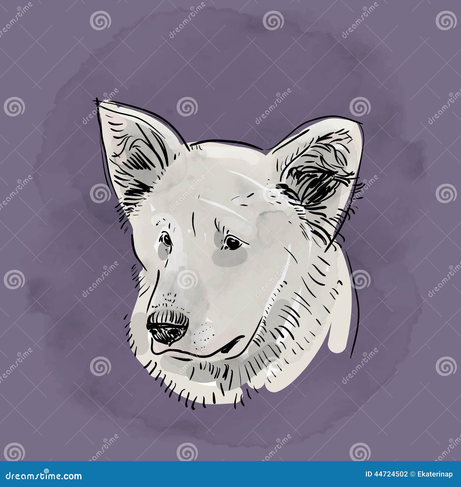 Head, Muzzle the Dog. Shepherd. Sketch Drawing. Black Contour on a ...