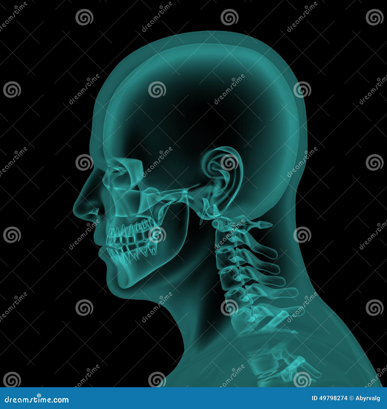 Head and neck x-ray scan stock illustration. Illustration of science ...