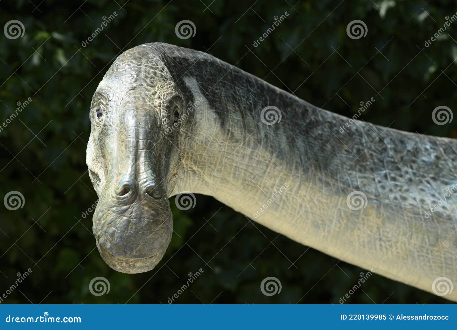 Head and Neck Reconstruction of Dinosaur Stock Image - Image of ...