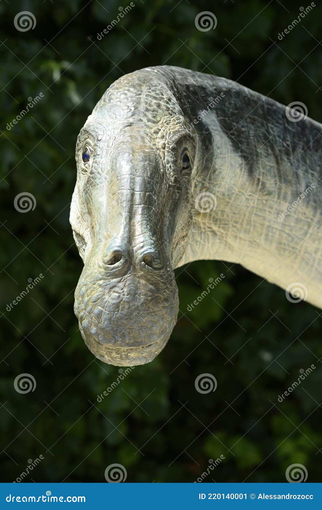 Head and Neck Reconstruction of Dinosaur Stock Image - Image of ...