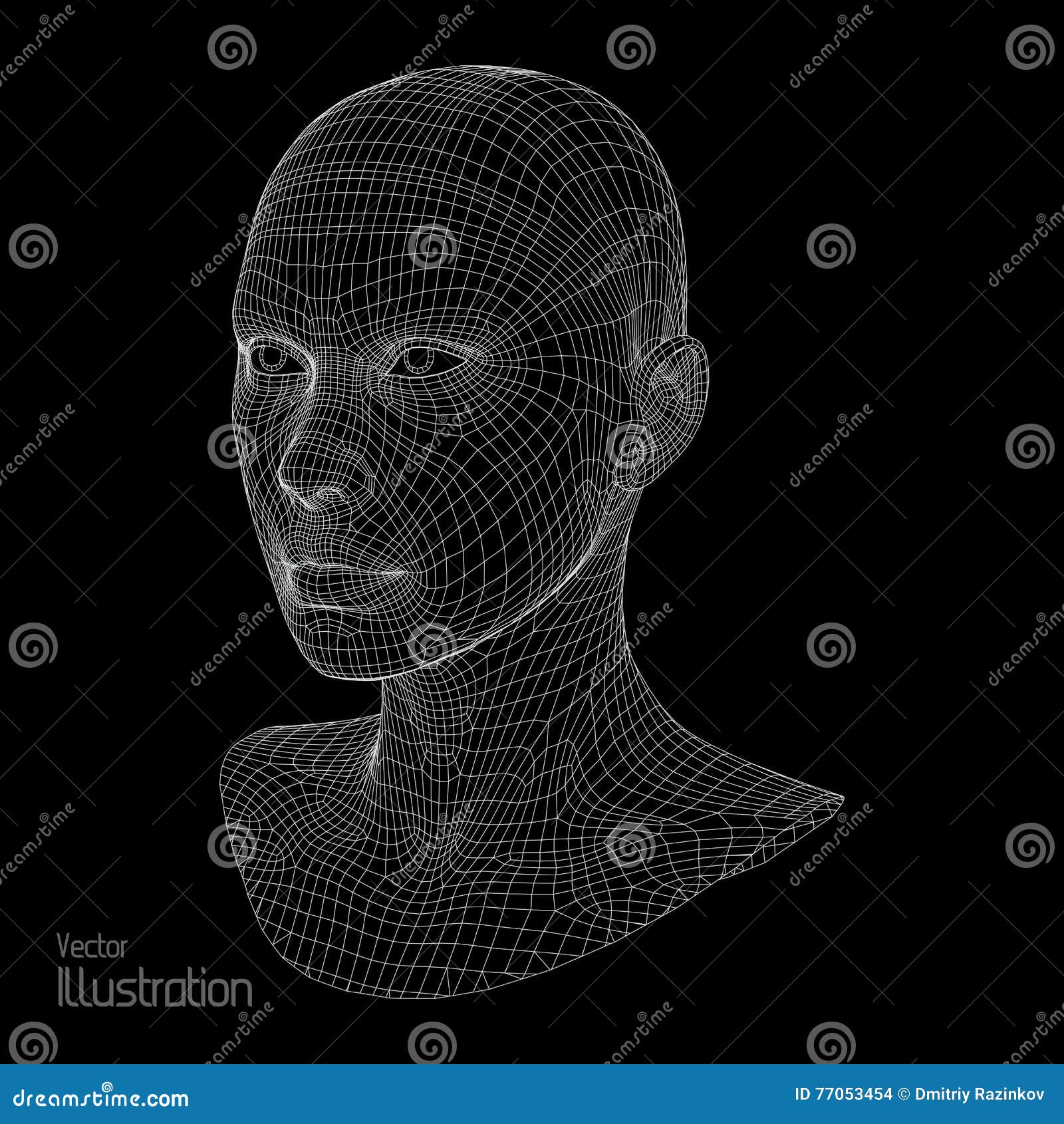 Head of the Person from a 3d Grid. Human Wire Model. Polygon . Face ...