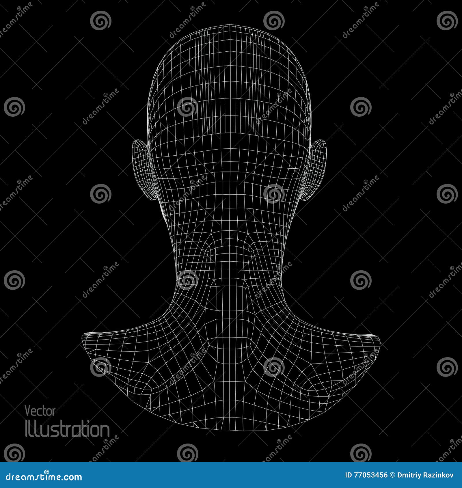 Head of the Person from a 3d Grid. Human Wire Model. Polygon . Face ...