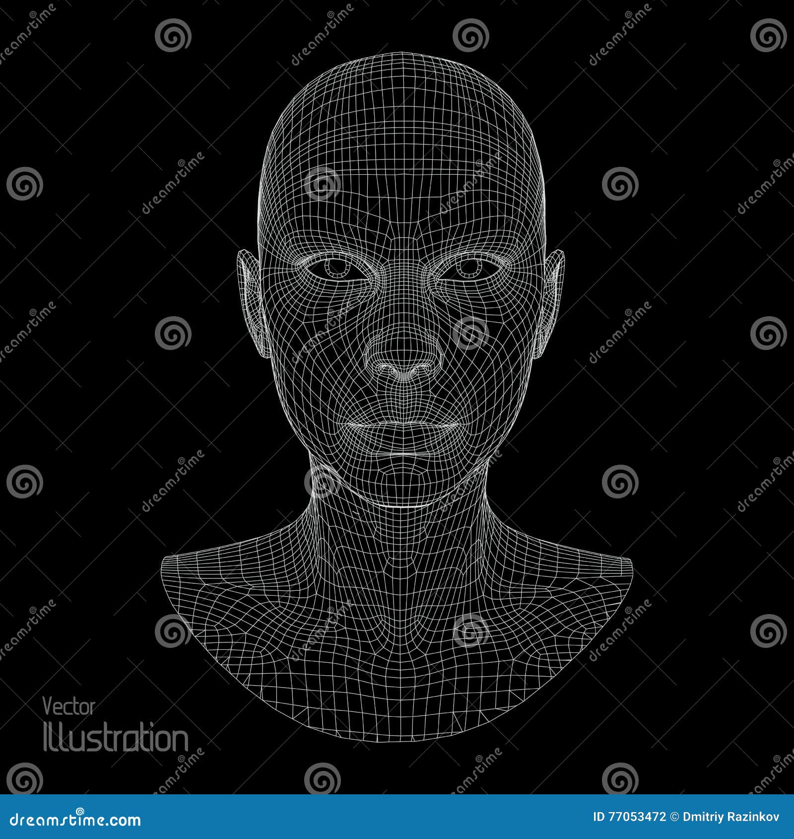 Head of the Person from a 3d Grid. Human Wire Model. Polygon . Face ...