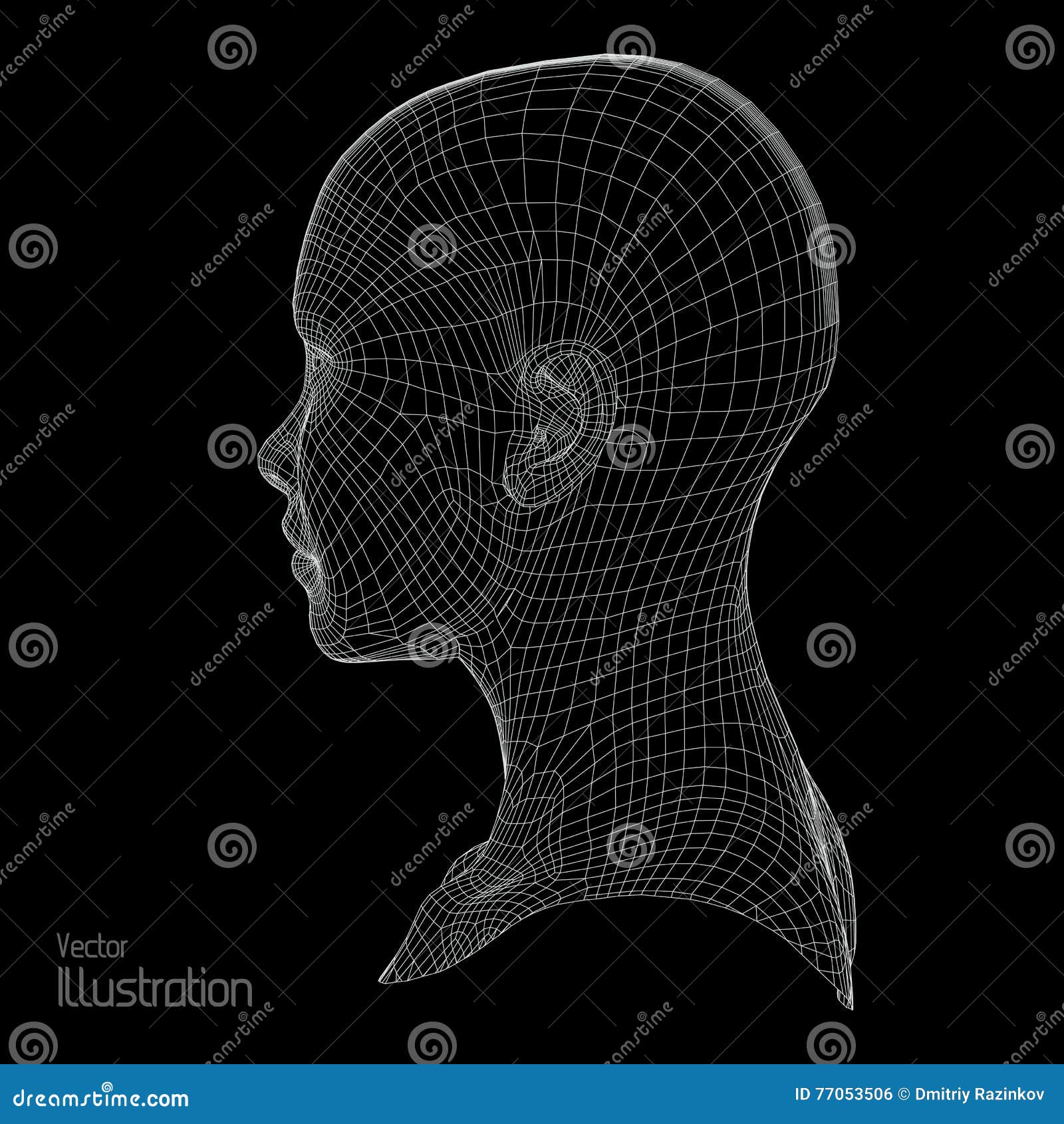 Head of the Person from a 3d Grid. Human Wire Model. Polygon . Face ...