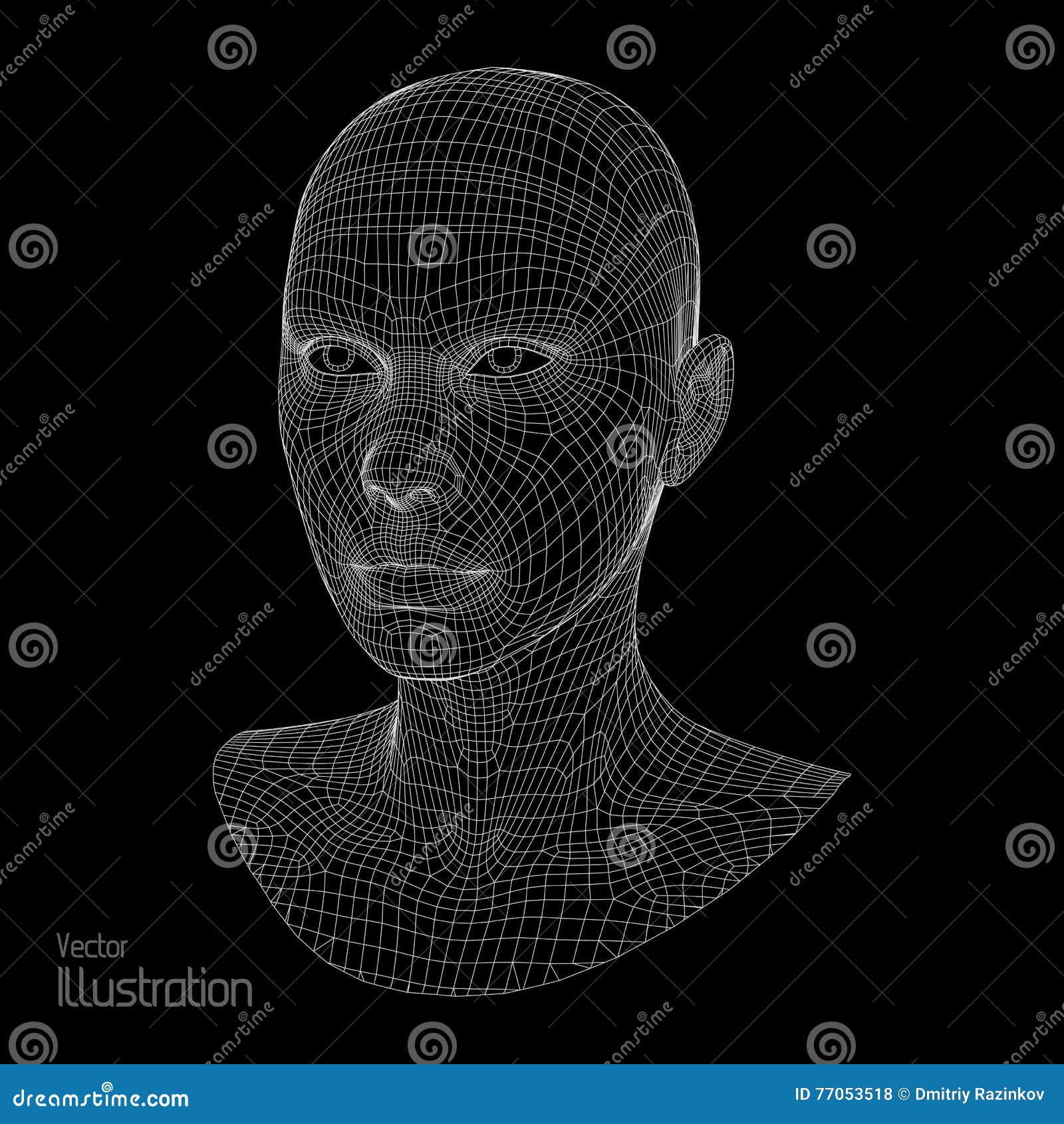 Head of the Person from a 3d Grid. Human Wire Model. Polygon . Face ...