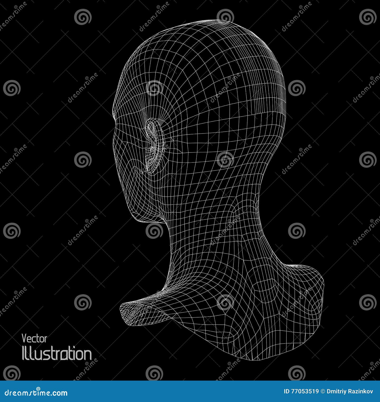Head of the Person from a 3d Grid. Human Wire Model. Polygon . Face ...