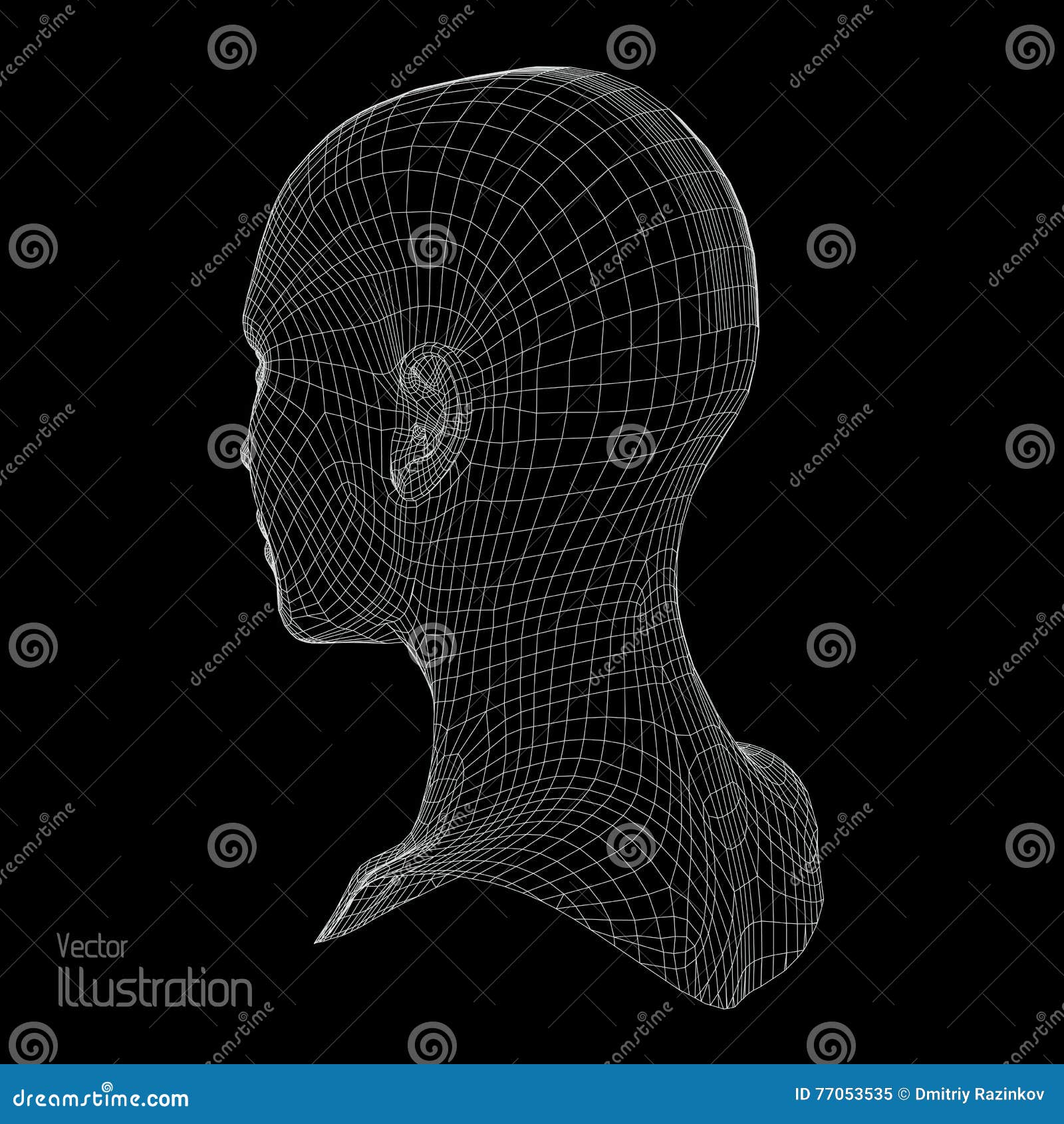 Head of the Person from a 3d Grid. Human Wire Model. Polygon . Face ...