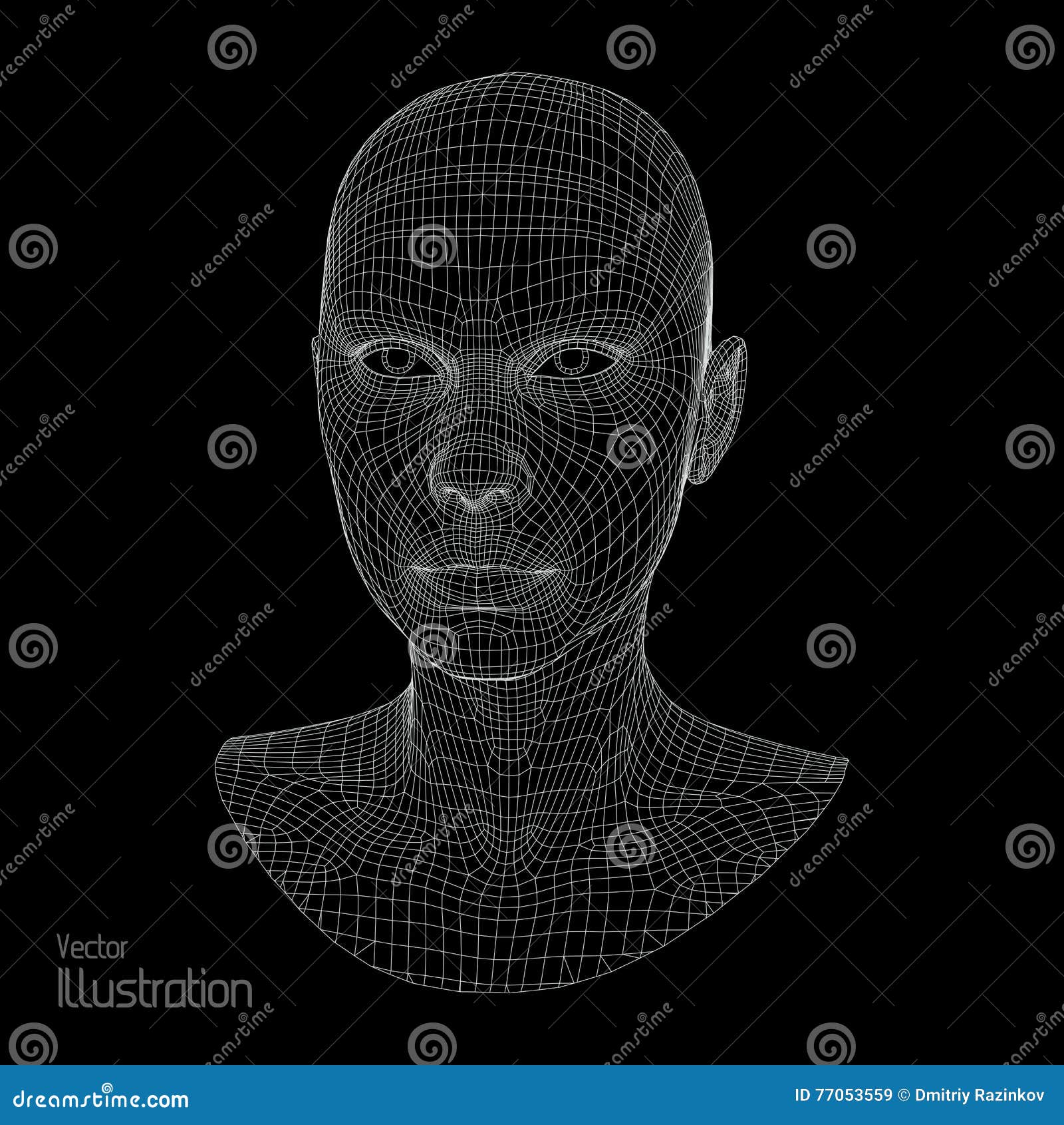 Head of the Person from a 3d Grid. Human Wire Model. Polygon . Face ...