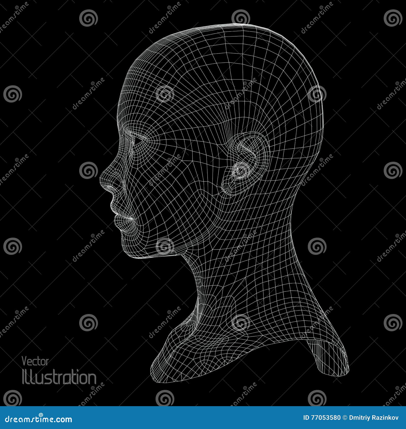 Head of the Person from a 3d Grid. Human Wire Model. Polygon . Face ...
