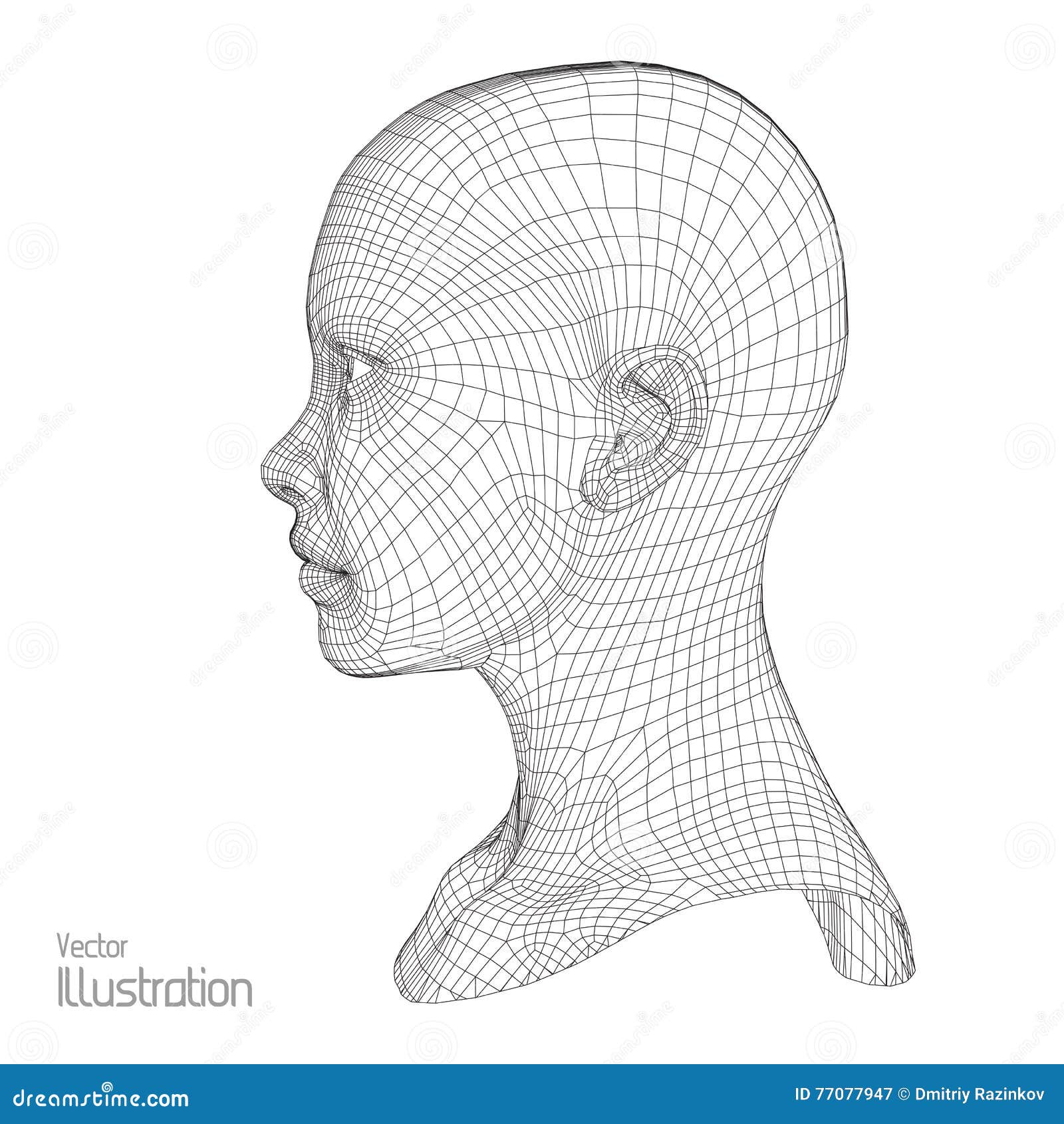Head of the Person from a 3d Grid. Human Wire Model. Polygon . Face ...