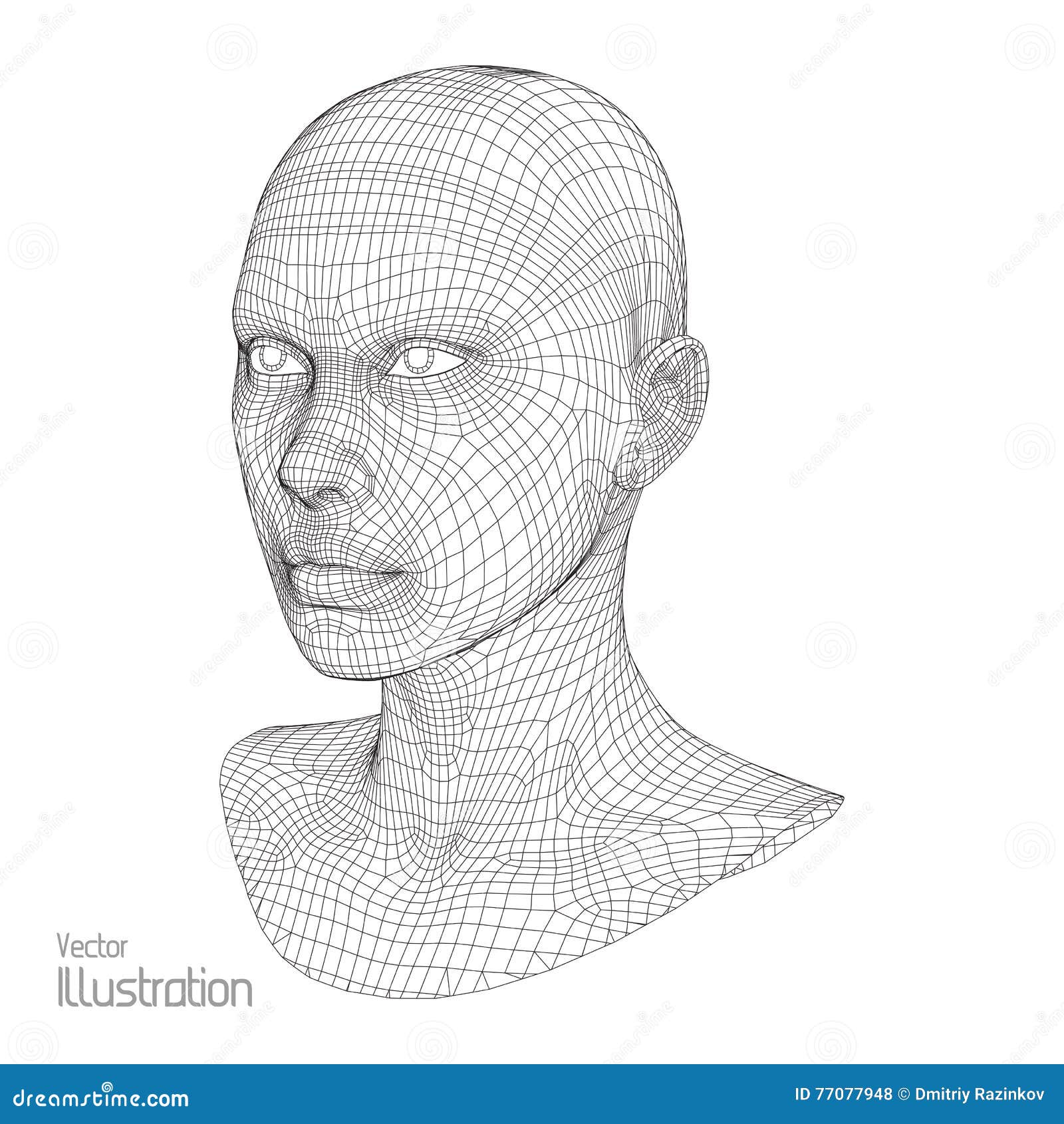 Head of the Person from a 3d Grid. Human Wire Model. Polygon . Face ... Head of the Person from a 3d Grid. Human Wire Model. Polygon . Face ...