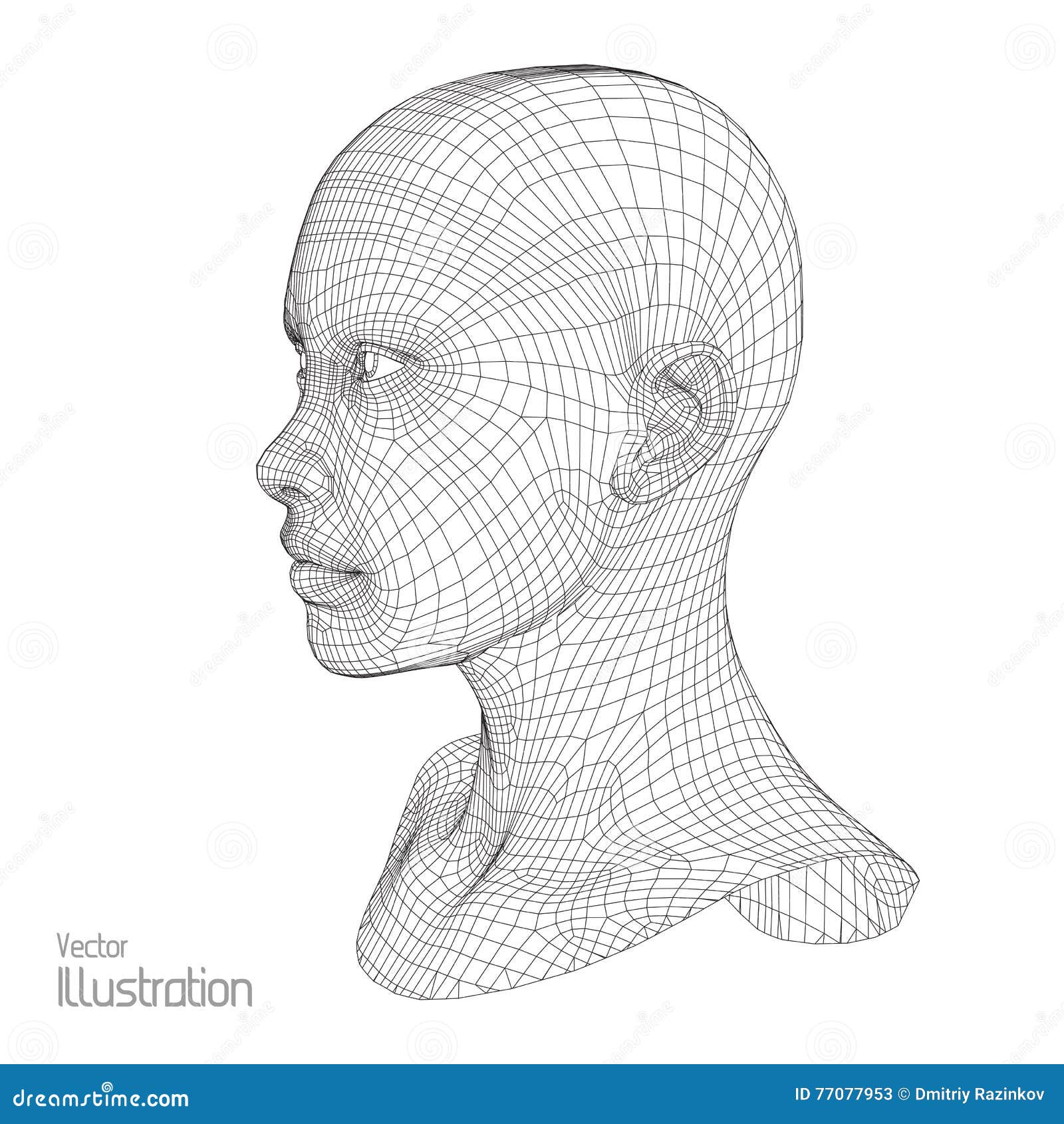 Head of the Person from a 3d Grid. Human Wire Model. Polygon . Face ...