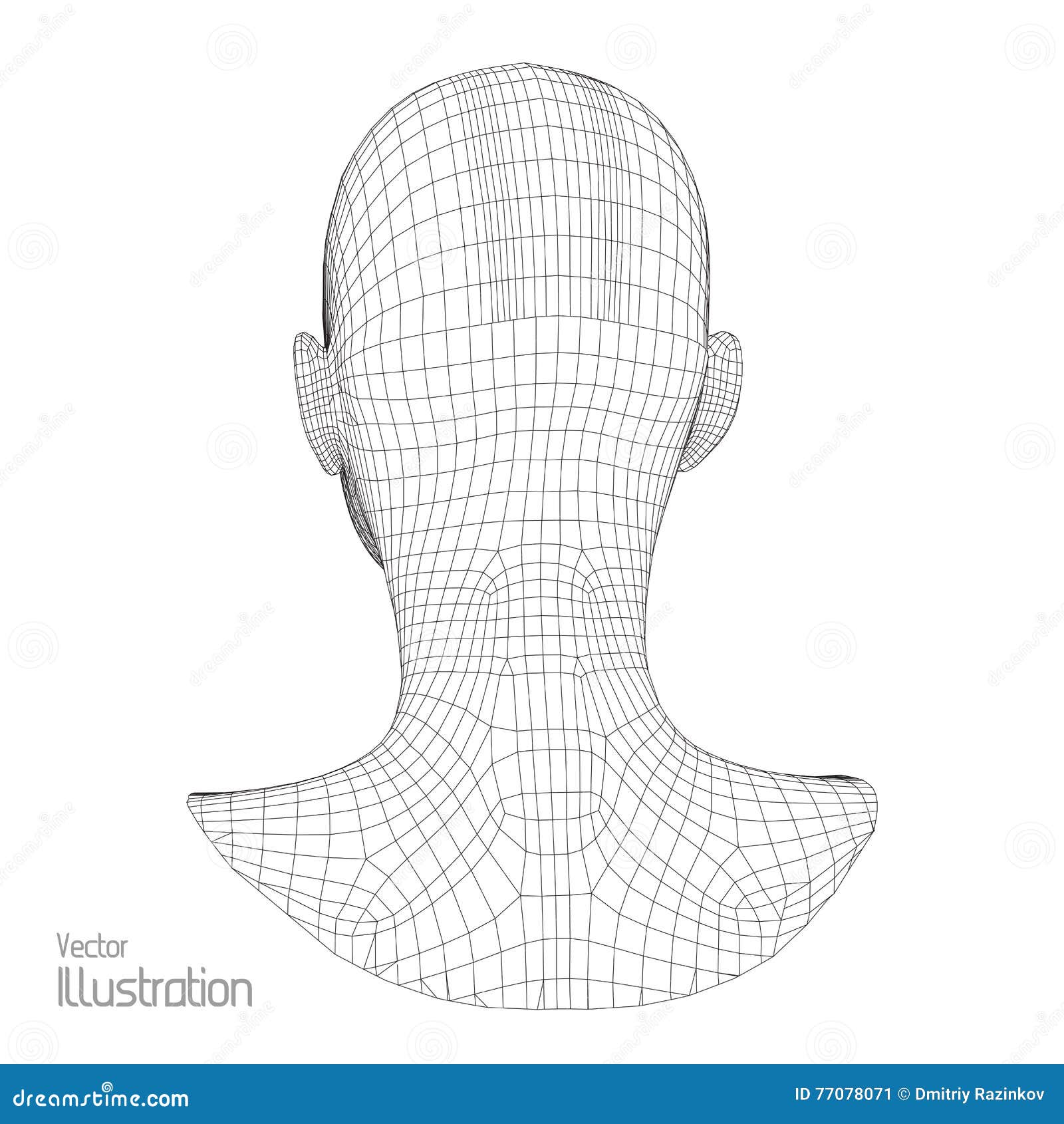 Head of the Person from a 3d Grid. Human Wire Model. Polygon . Face ...
