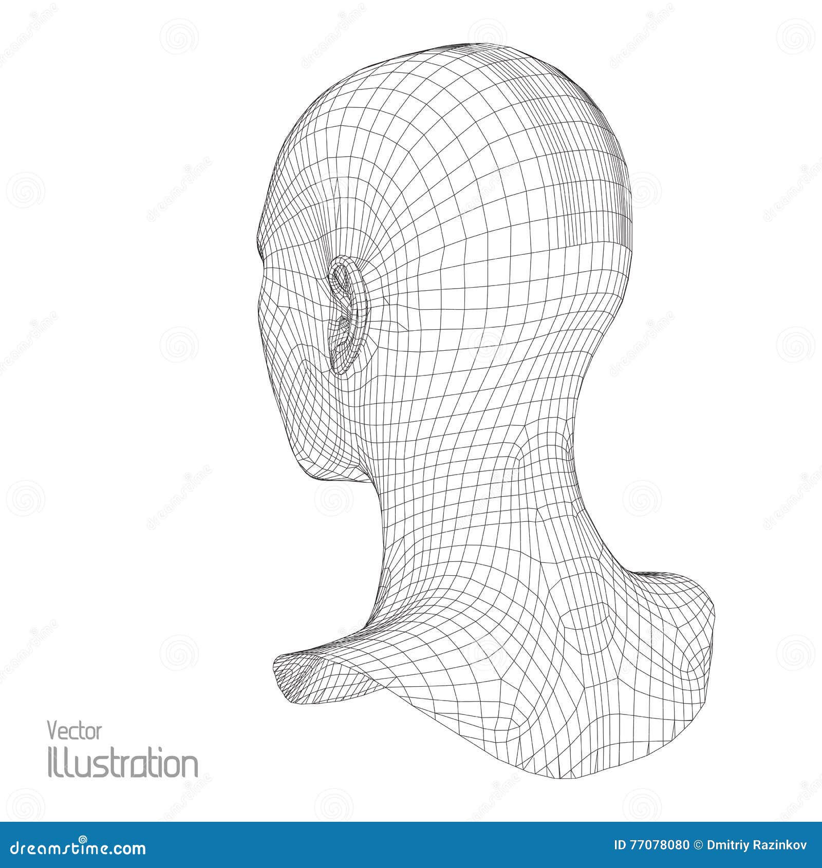 Head of the Person from a 3d Grid. Human Wire Model. Polygon . Face ...