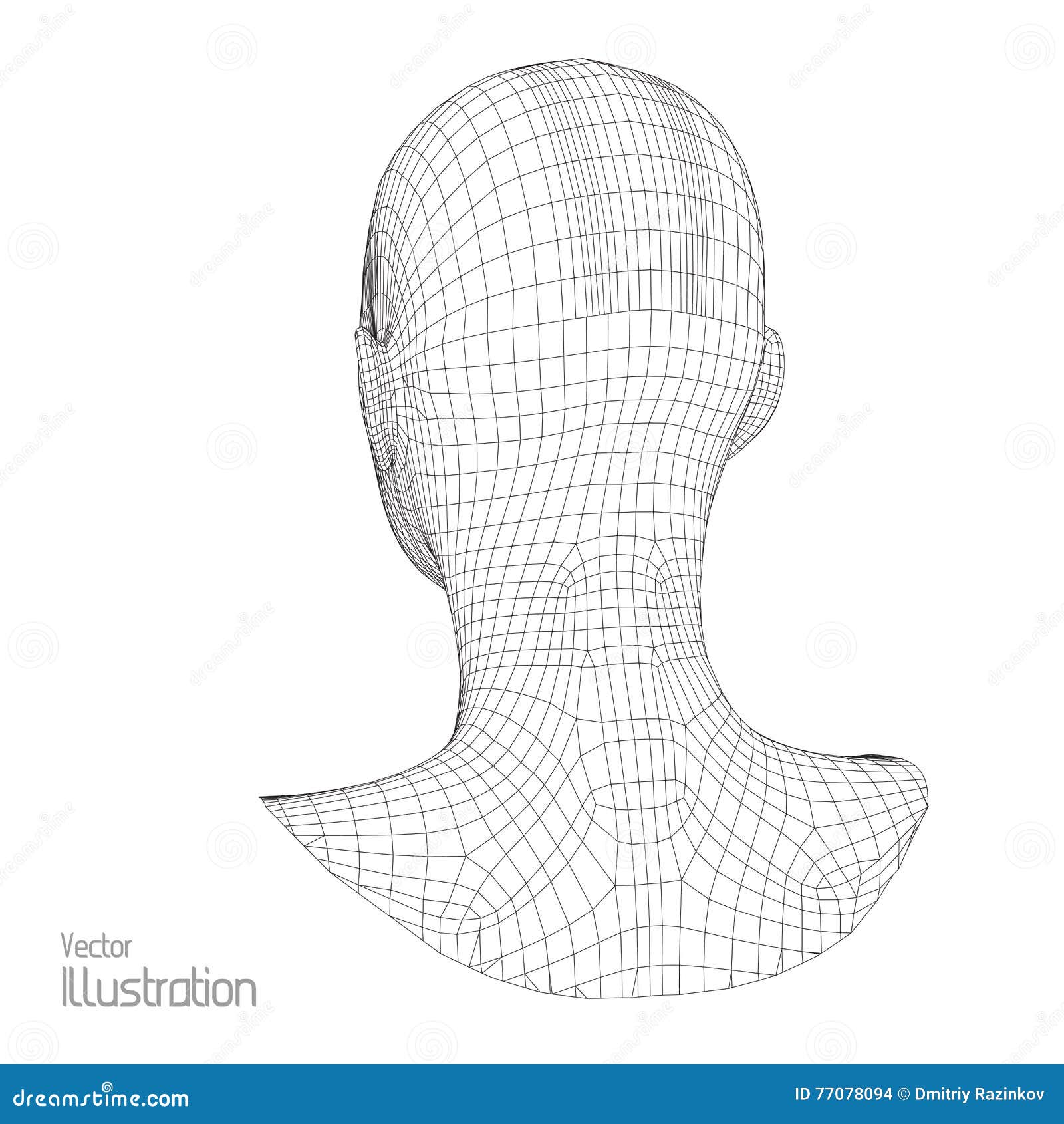 Head of the Person from a 3d Grid. Human Wire Model. Polygon . Face ...