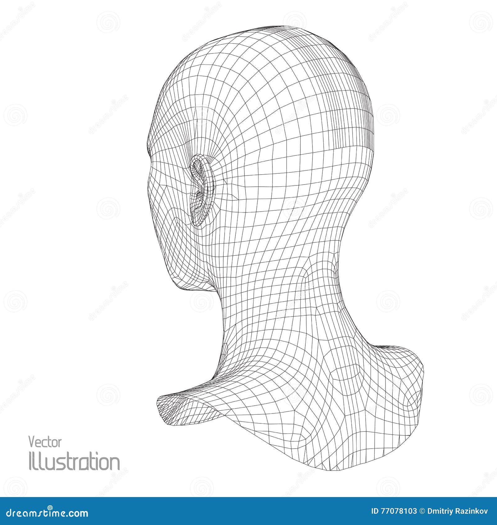 Head of the Person from a 3d Grid. Human Wire Model. Polygon . Face ...