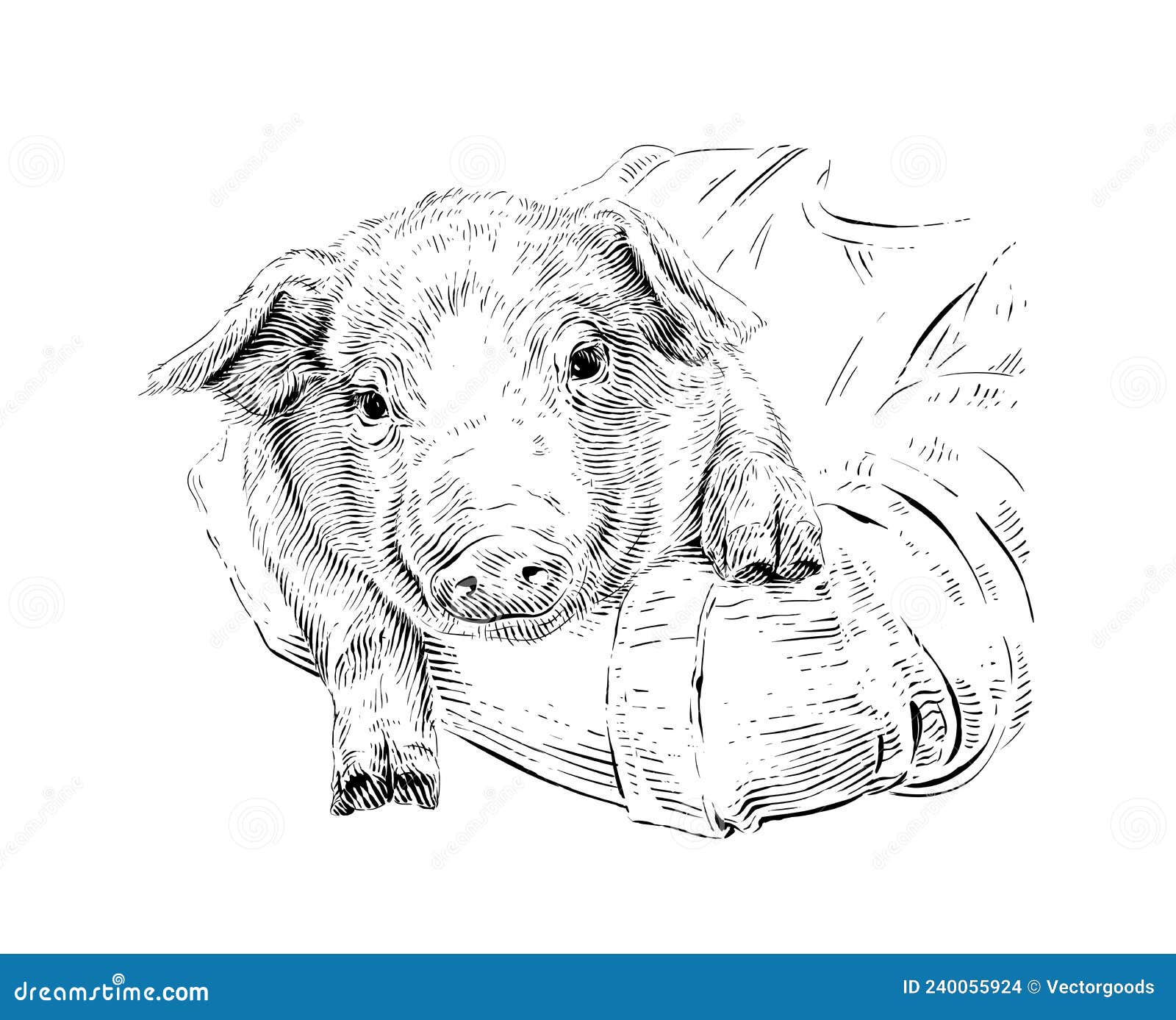 Head Piglet Hand Drawing Sketch Engraving Illustration Style Stock ...
