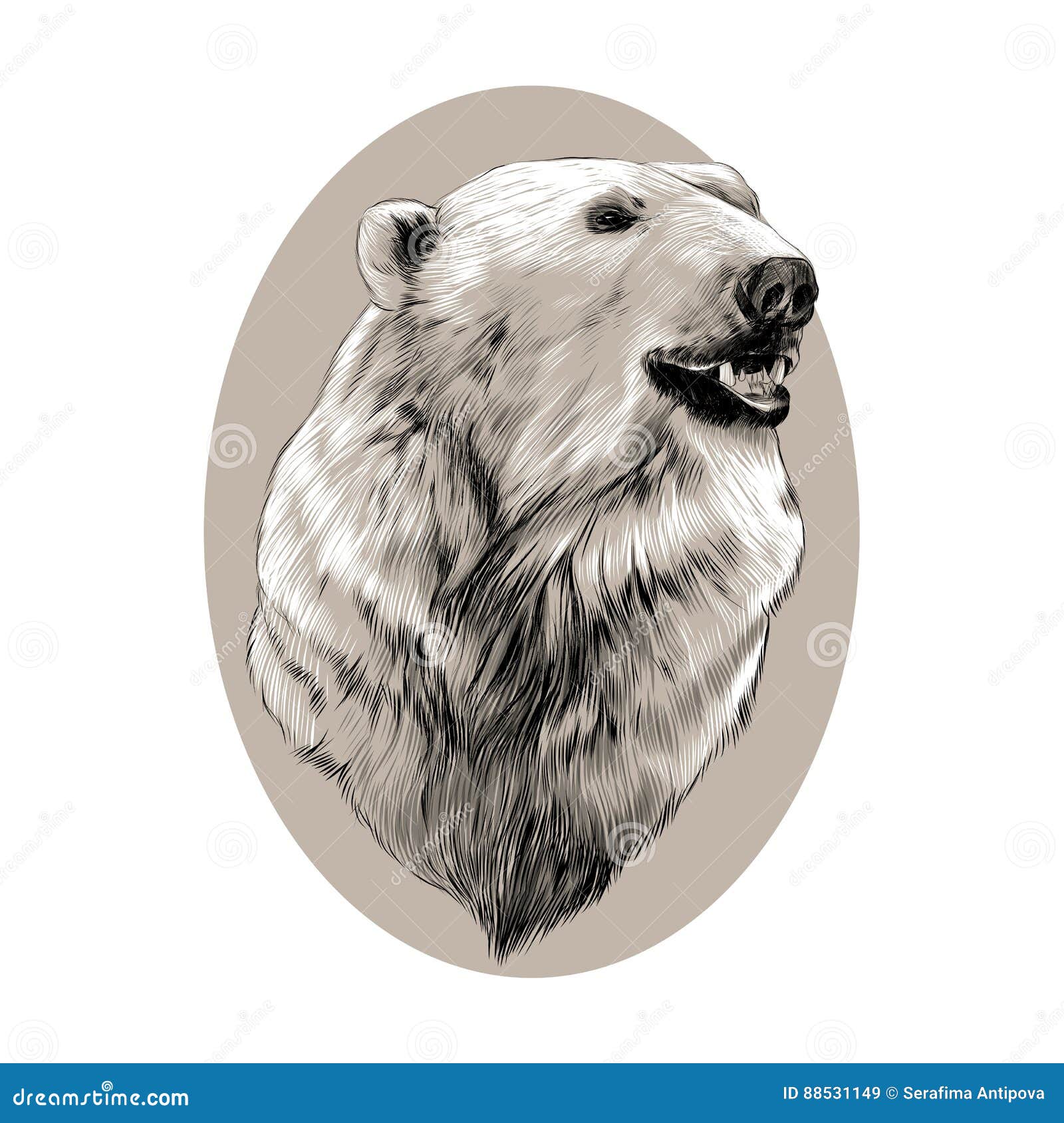 Grizzly Bear Profile Drawing