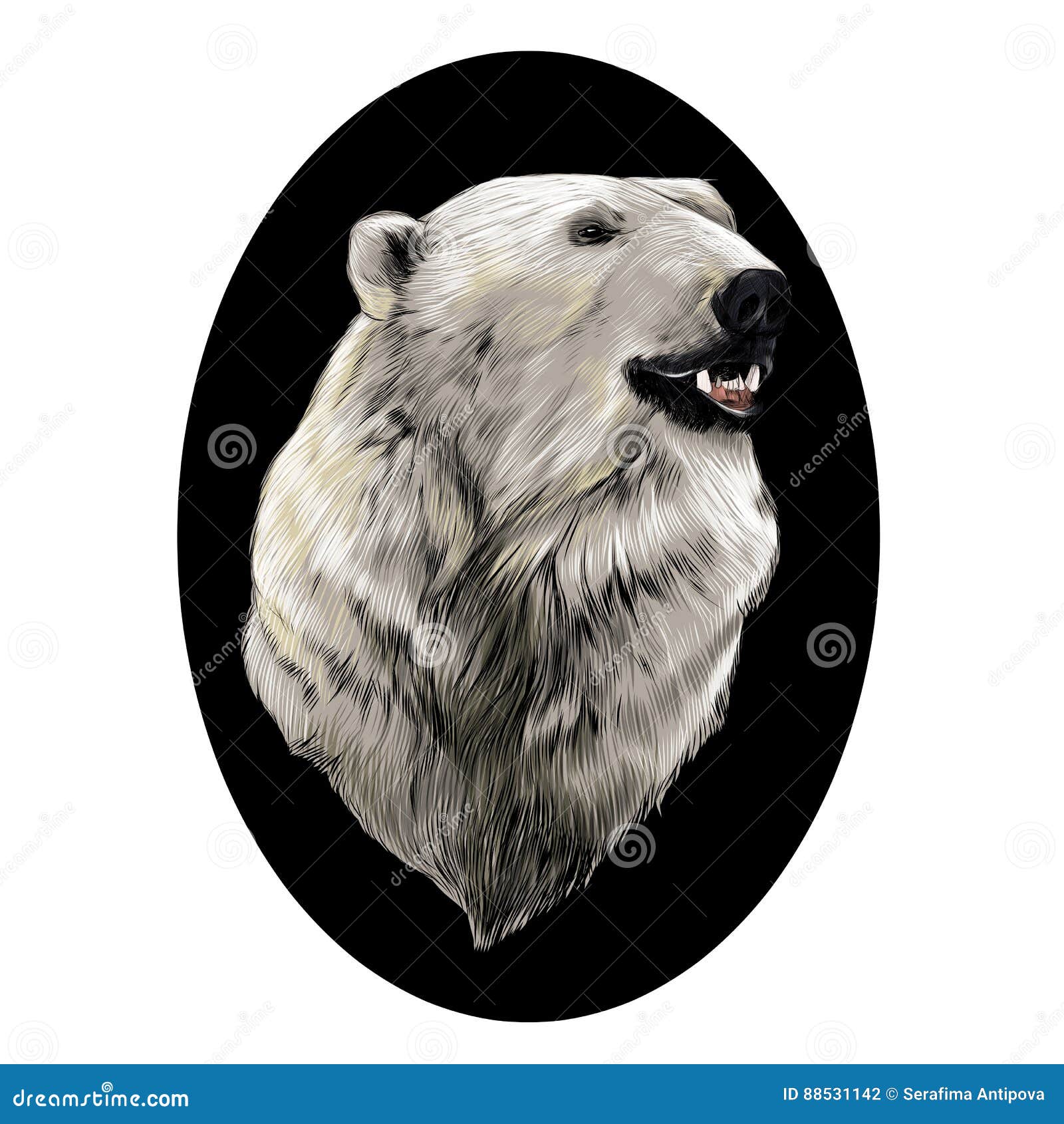 Bear Profile Drawing