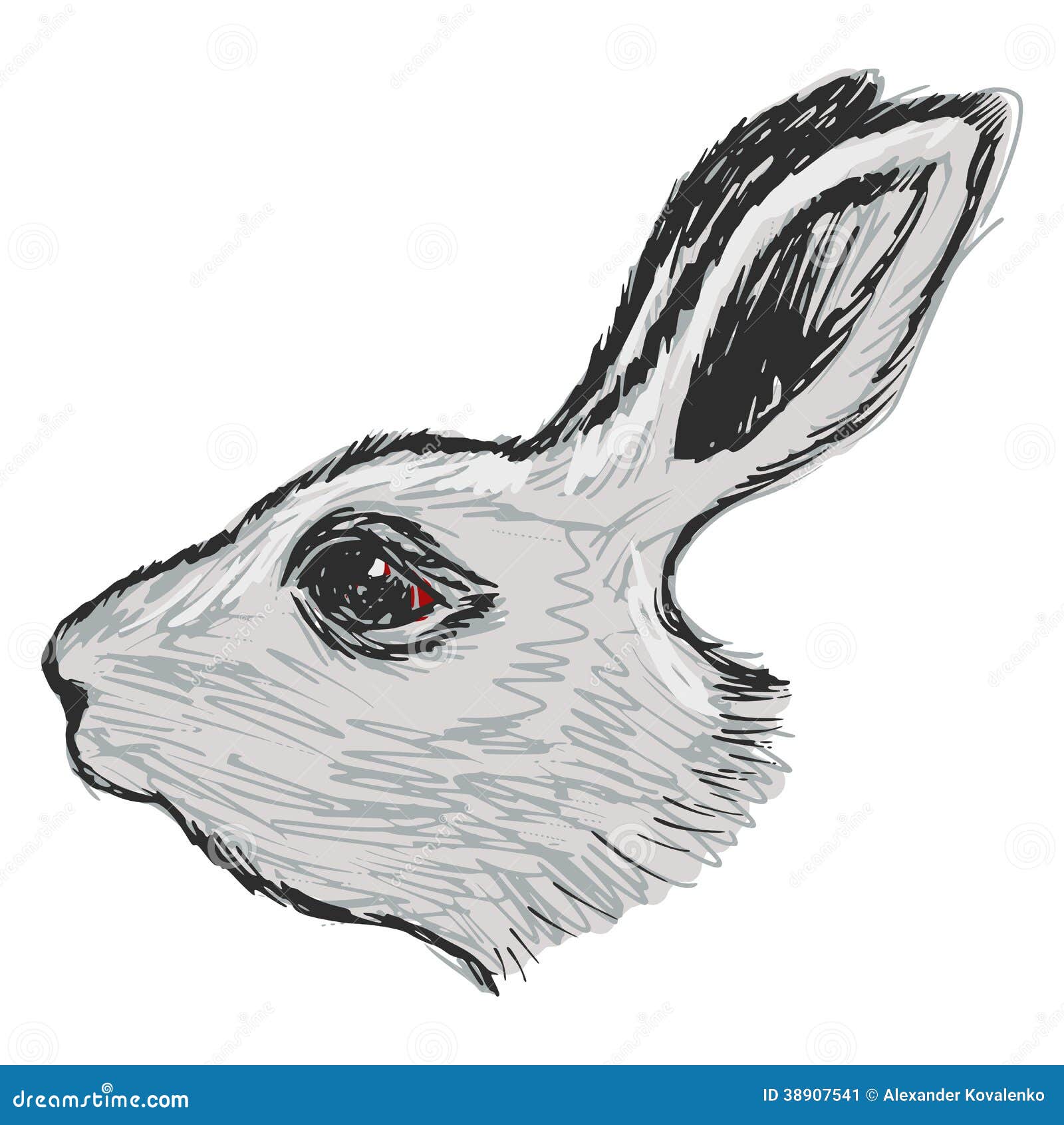 Head of rabbit stock vector. Illustration of rodent, white - 38907541