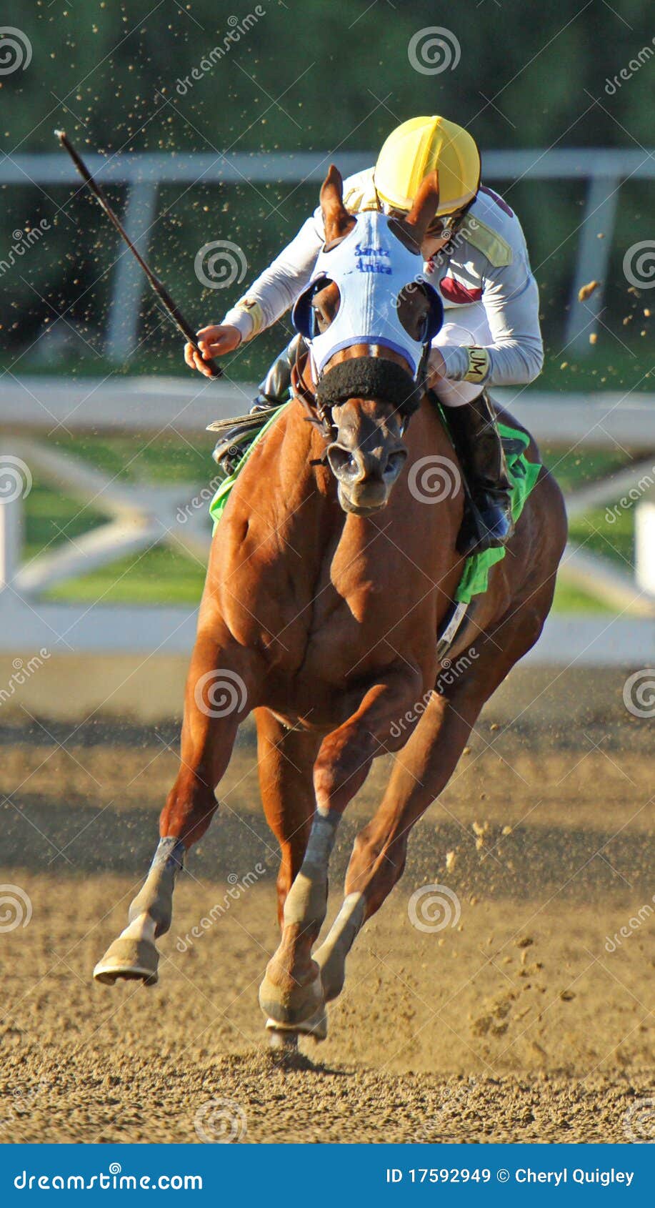 Head on Racing Action editorial stock image. Image of fast - 17592949