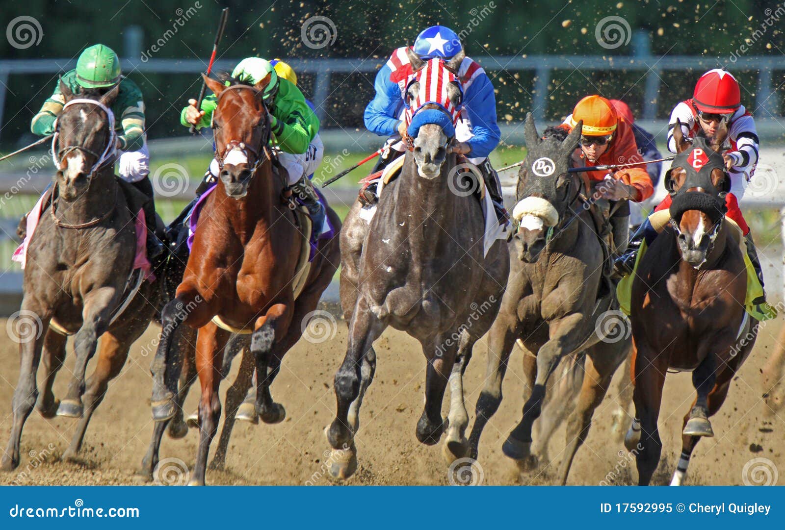 Head on Racing Action editorial image. Image of thoroughbred - 17592995