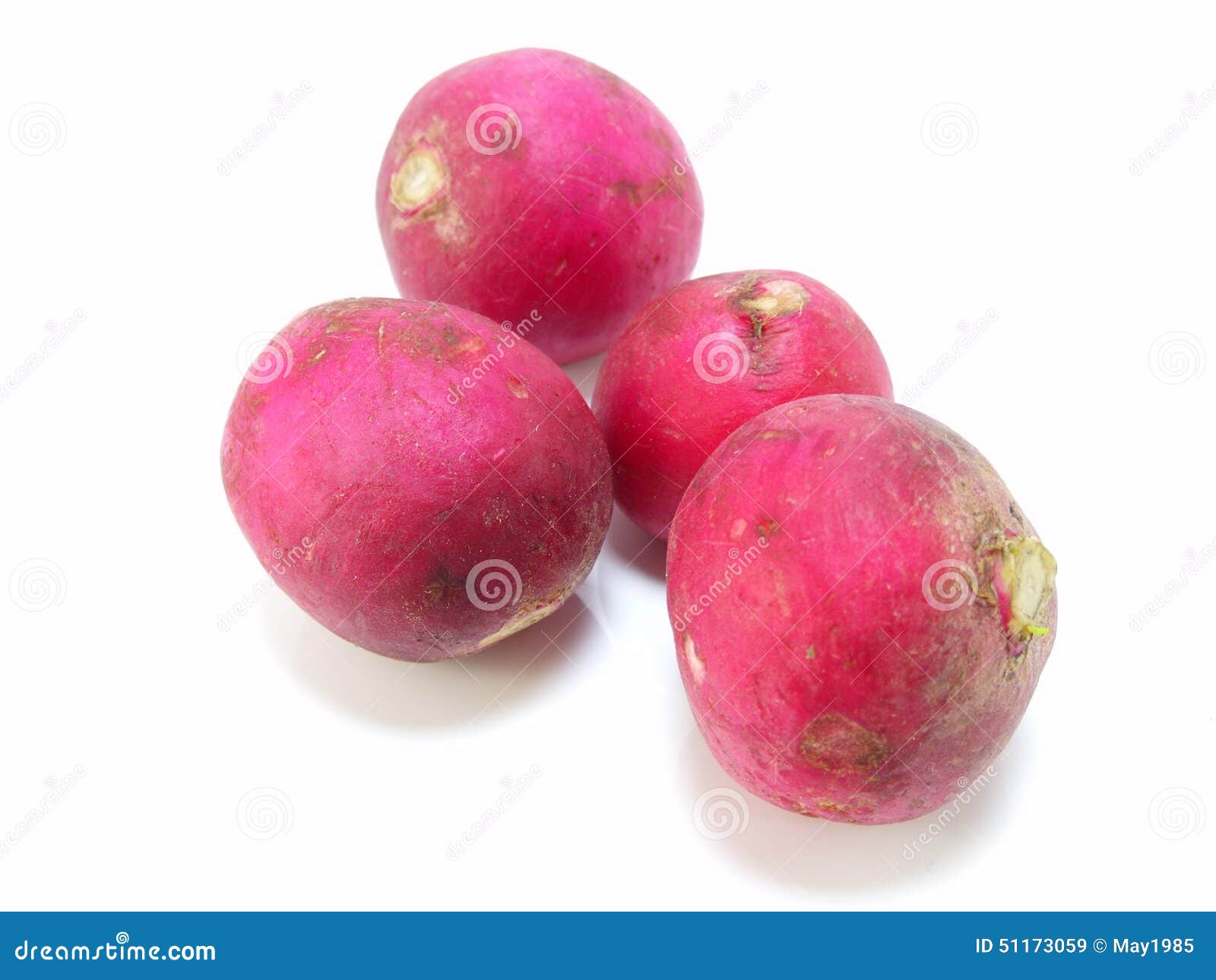Head of radish vegetable stock image. Image of health - 51173059