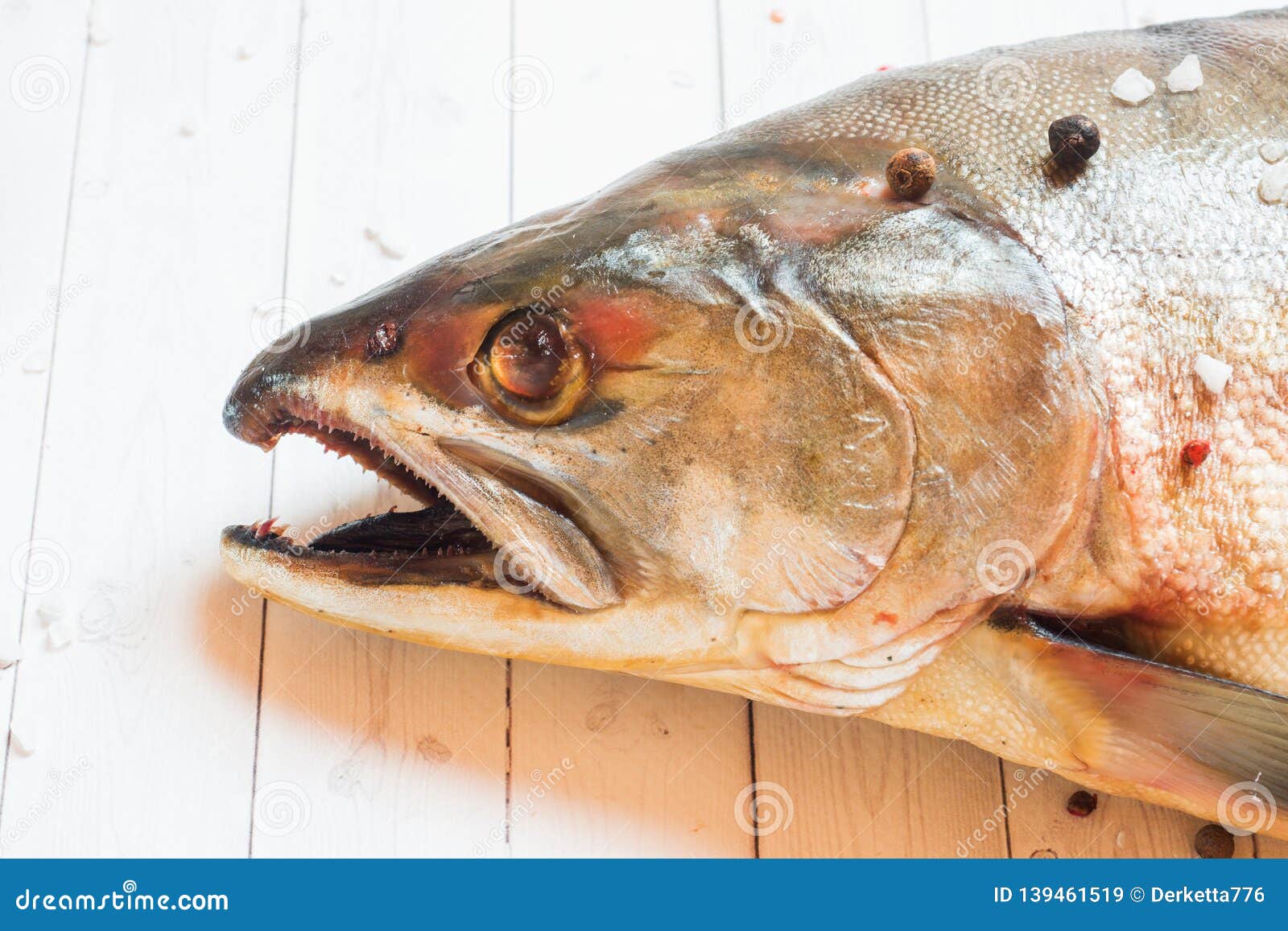 Head Raw Humpback Fish with Spices on a Light Table Stock Image - Image ...