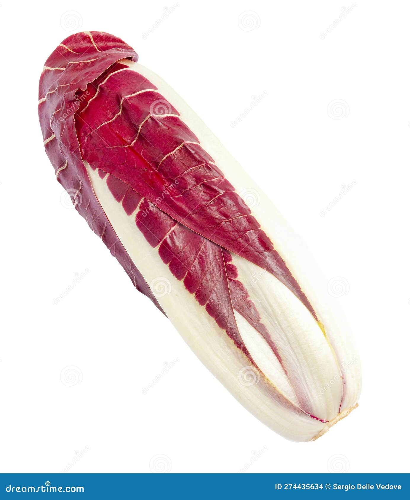 A head of red radicchio stock photo. Image of vegetable - 274435634