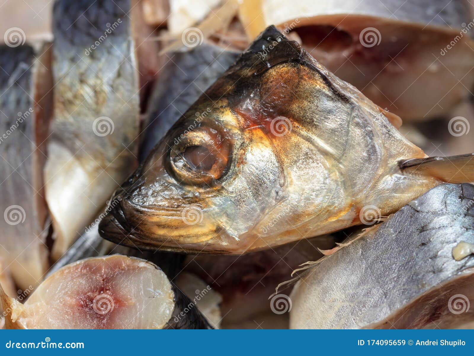 Head of Salted Herring Fish Stock Image - Image of anchovies ...
